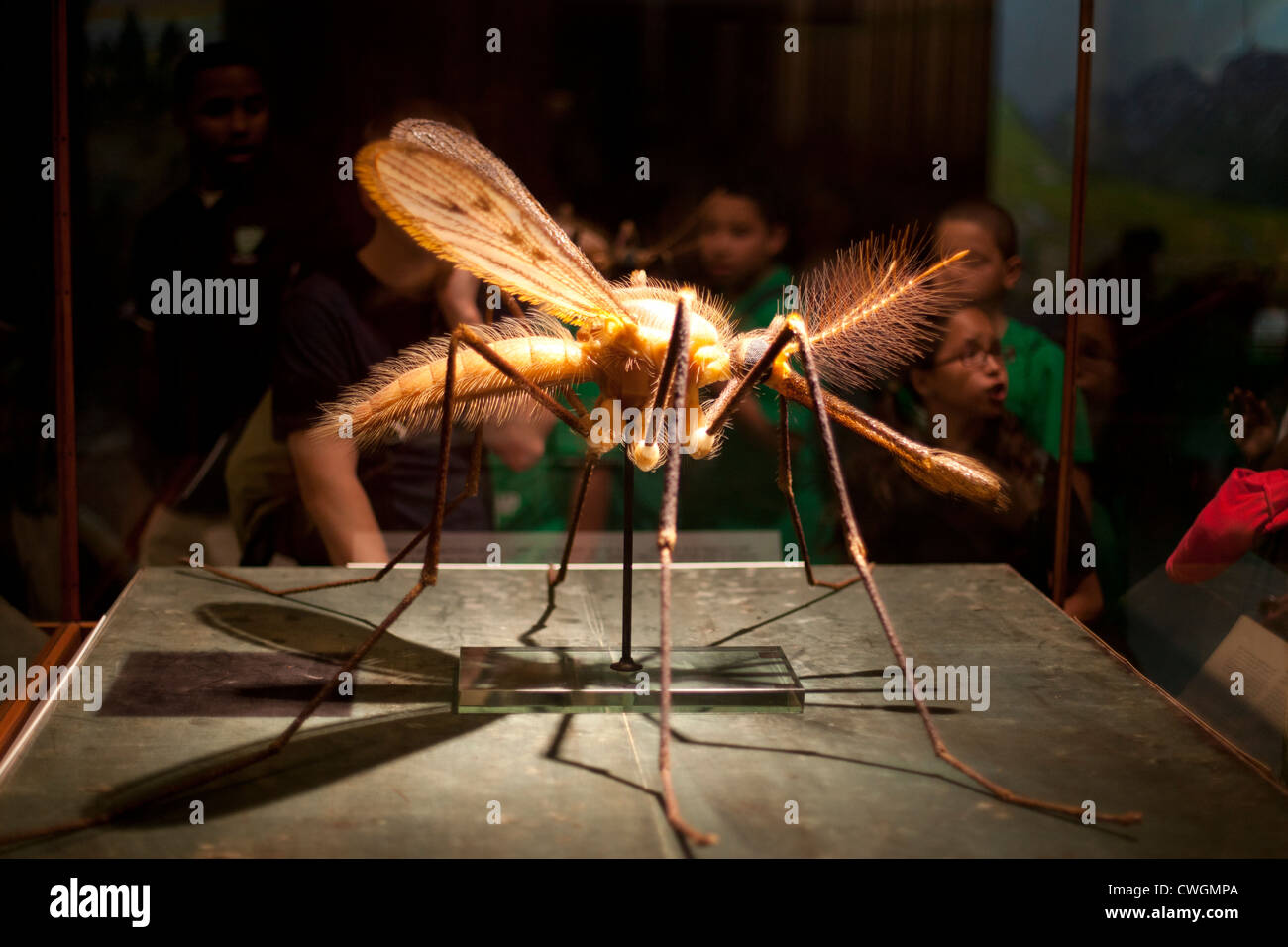 Giant Mosquito Movie