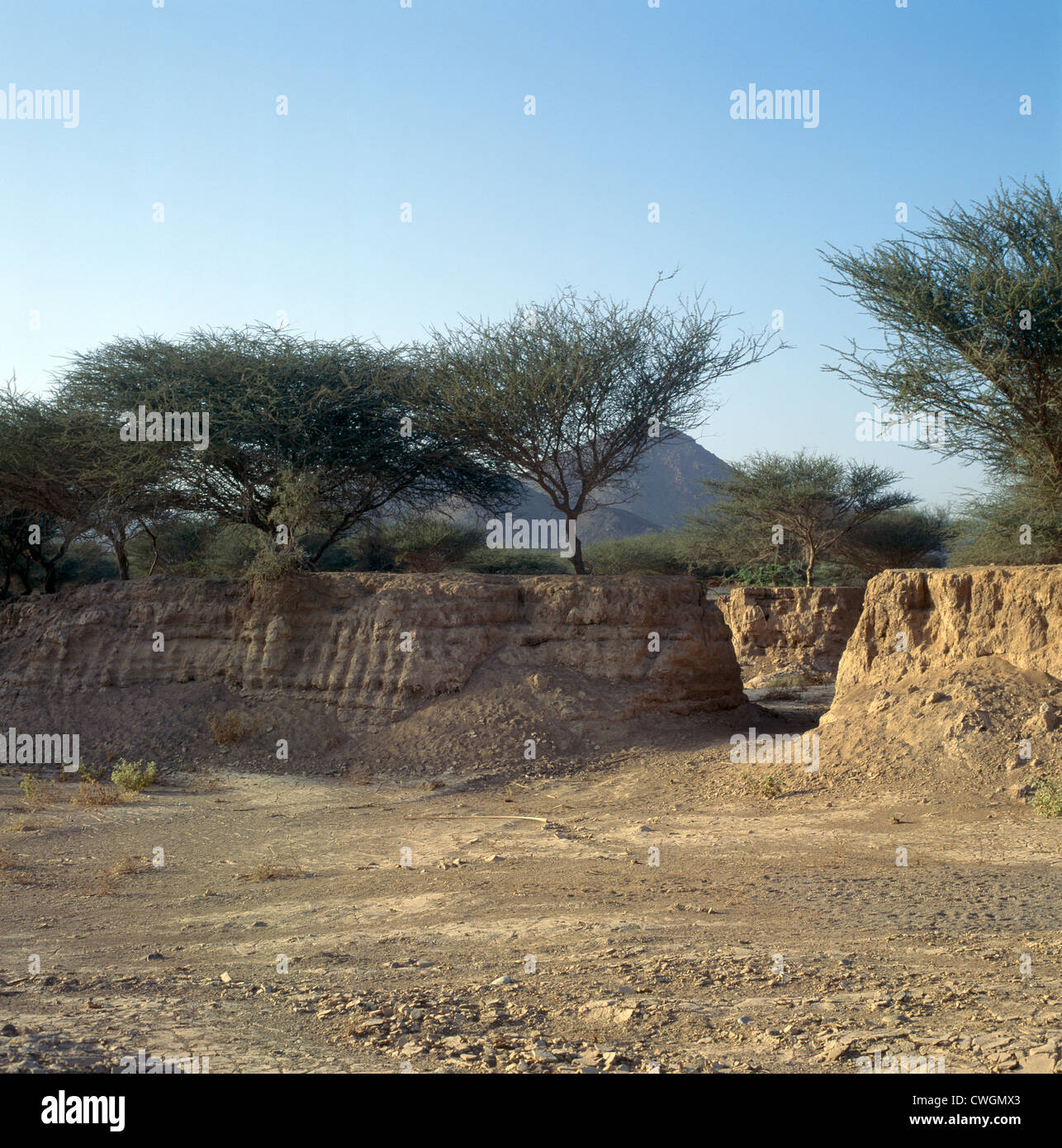 Sharjah UAE Dried Up Wadi Bed And Mountains Soil Erosion Stock Photo ...