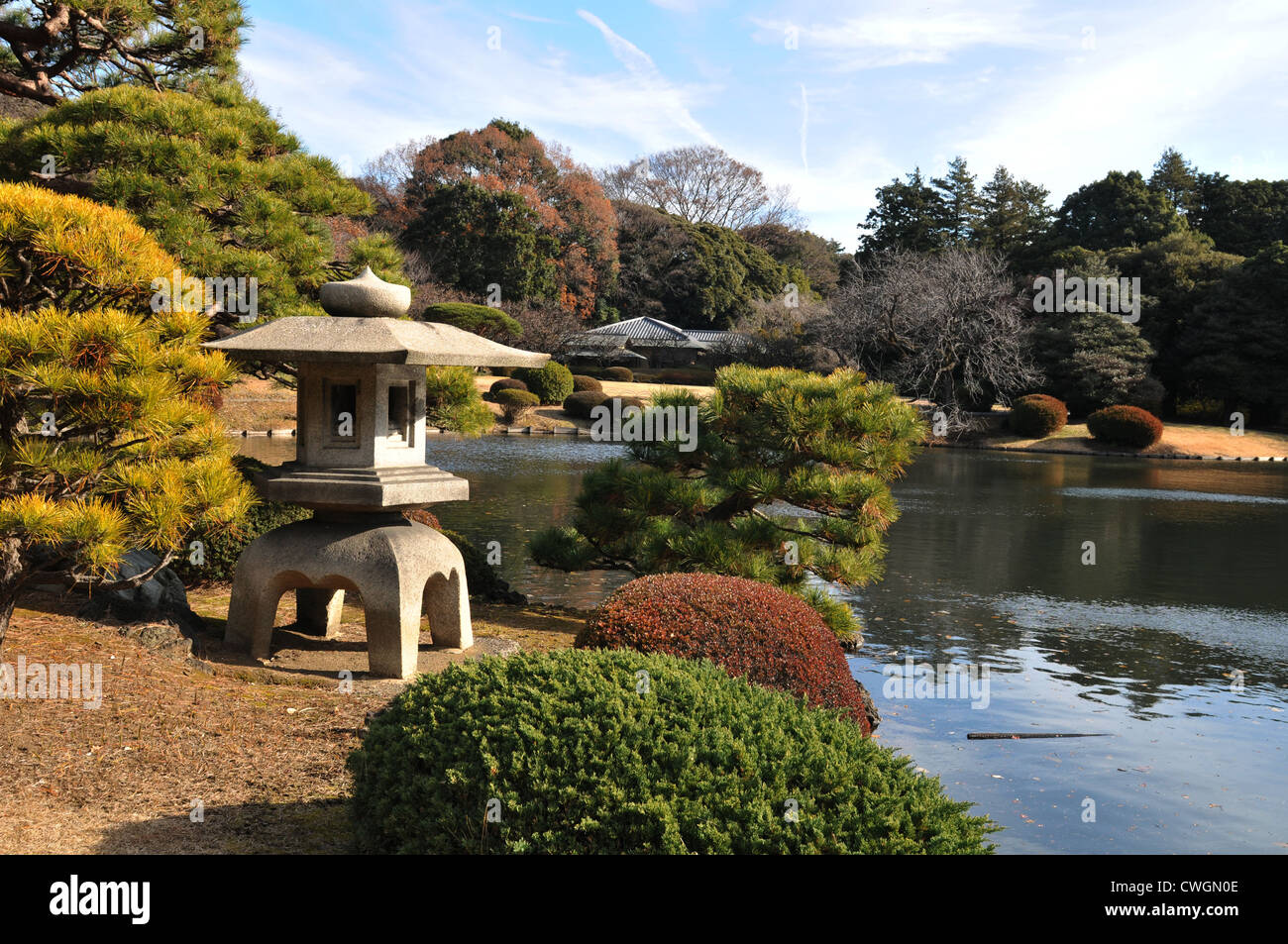 Various species of trees in Japanese garden during winter Stock Photo ...