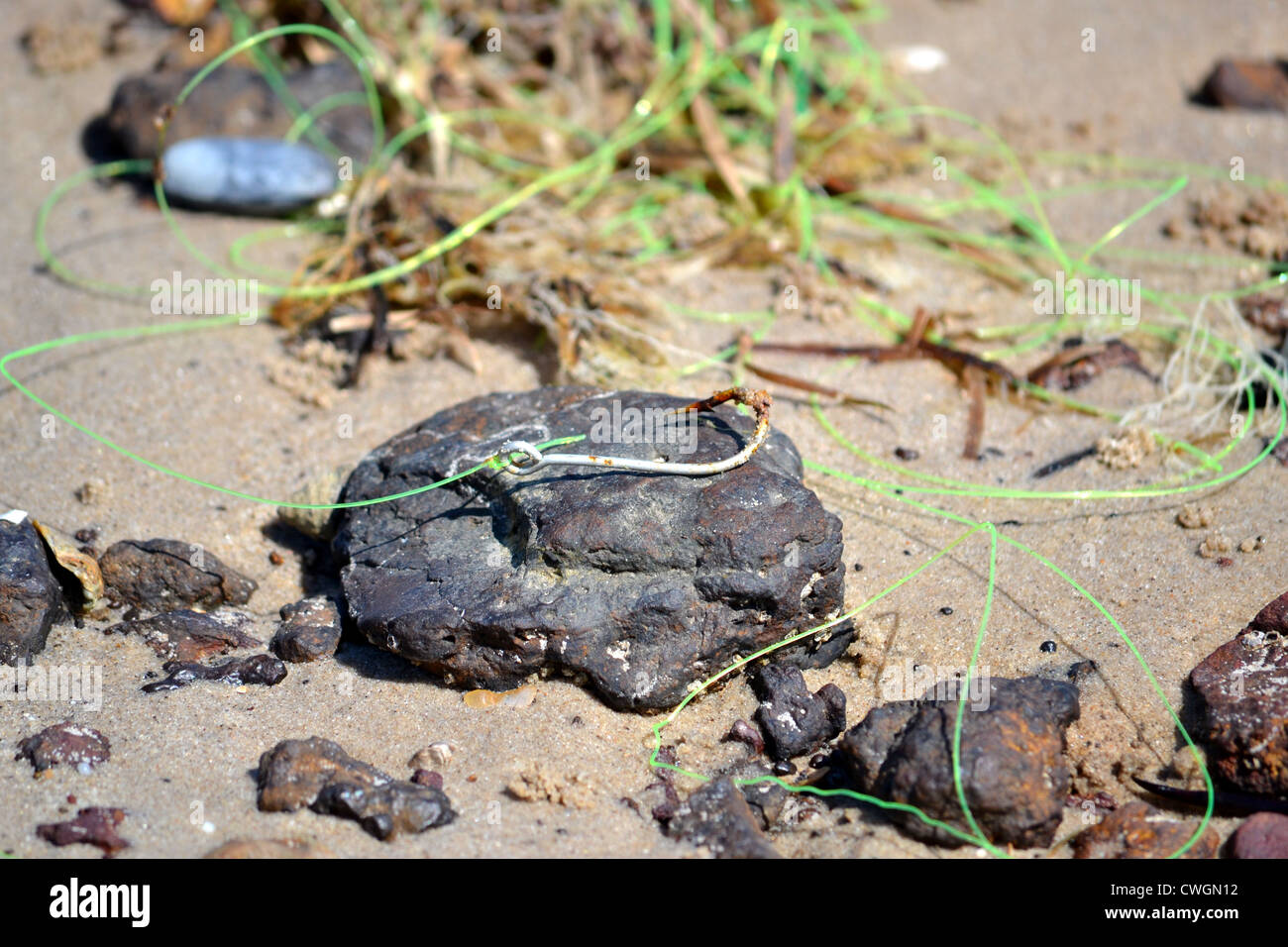Harmful litter hi-res stock photography and images - Alamy