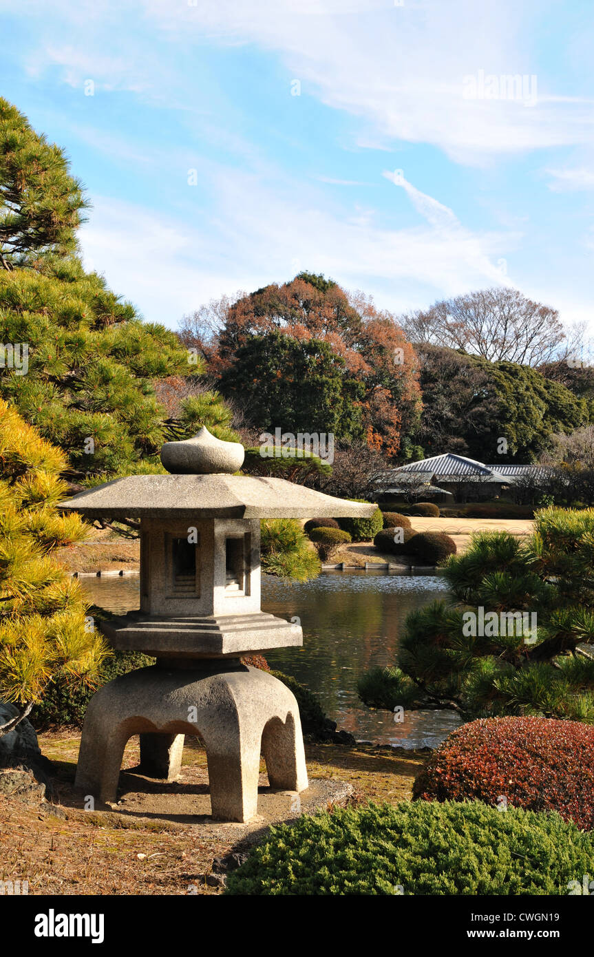 Various species of trees in Japanese garden during winter Stock Photo ...