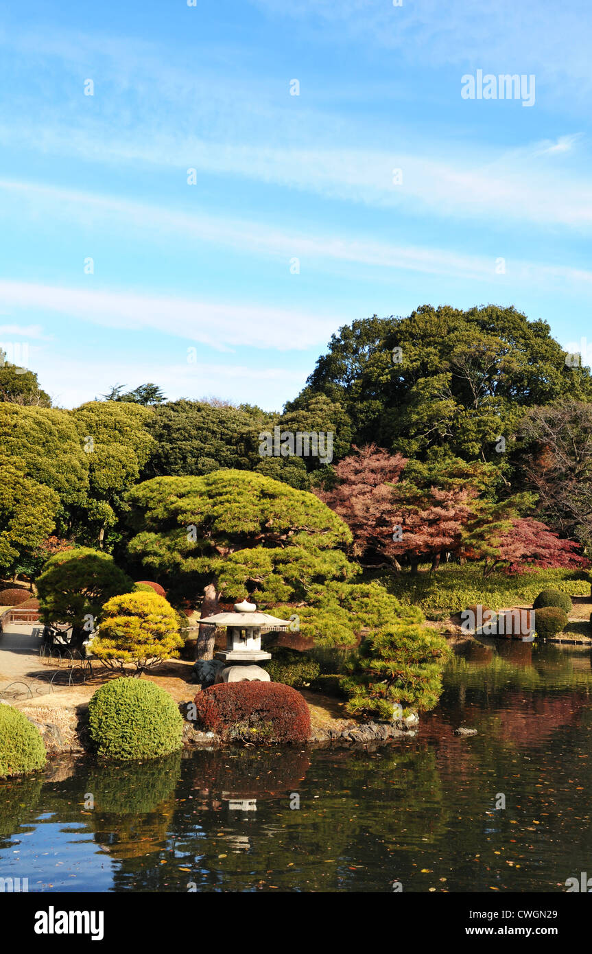 Various species of trees in Japanese garden during winter Stock Photo ...