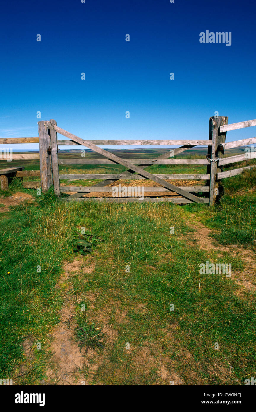 Wooden Fence And Gate In Field Stock Photo - Alamy