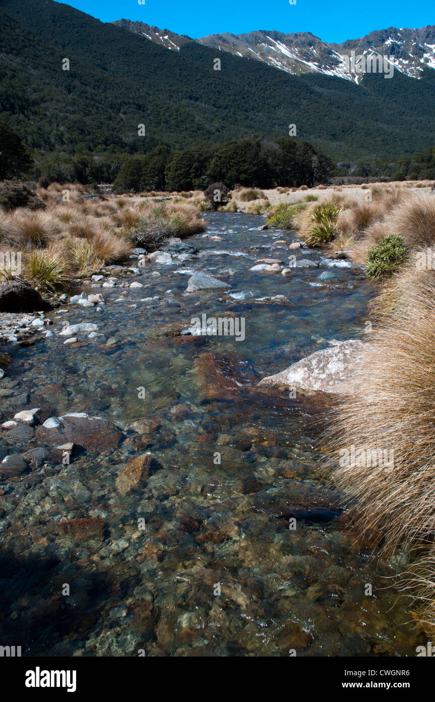 Cobb River in Kahurangi National Park in New Zealand. Der Cobb Fluss im ...
