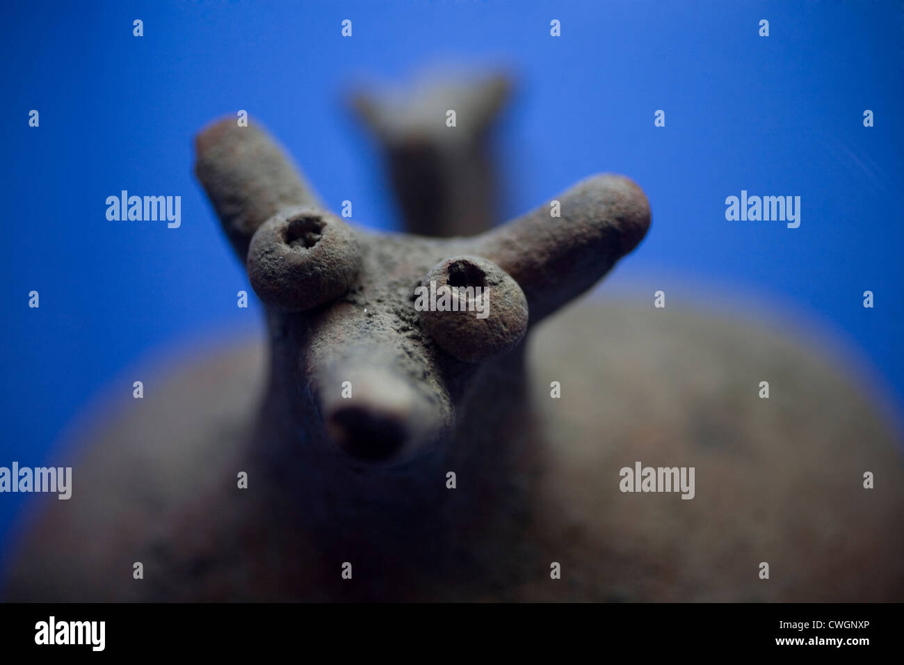 An animal vessel is displayed at the Rufino Tamayo pre-Hispanic art ...