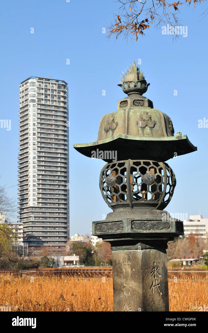 Shinobazu Pond in Ueno park and Tokyo skyline at sunset Stock Photo - Alamy