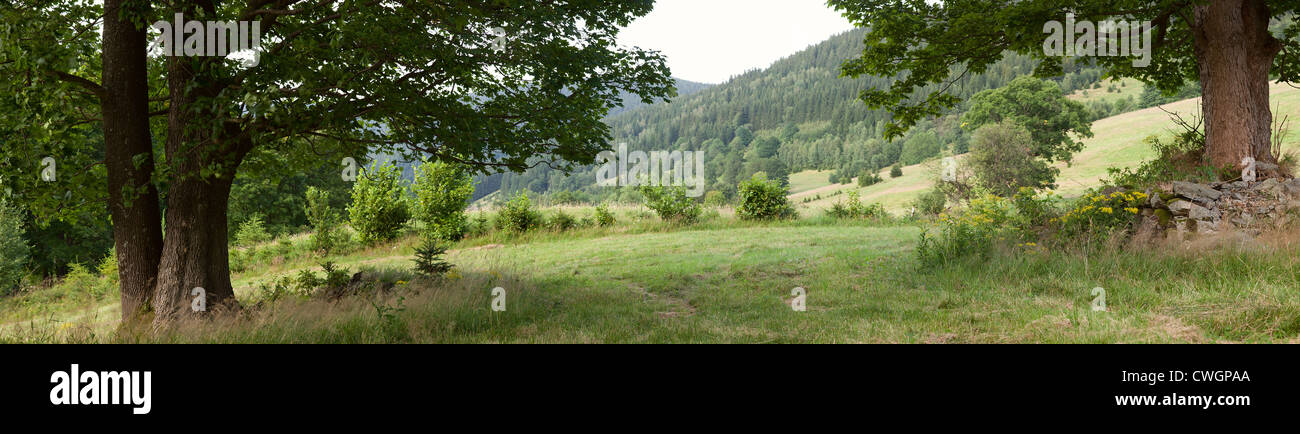 mountain view with big tree, panoramic landscape Stock Photo - Alamy