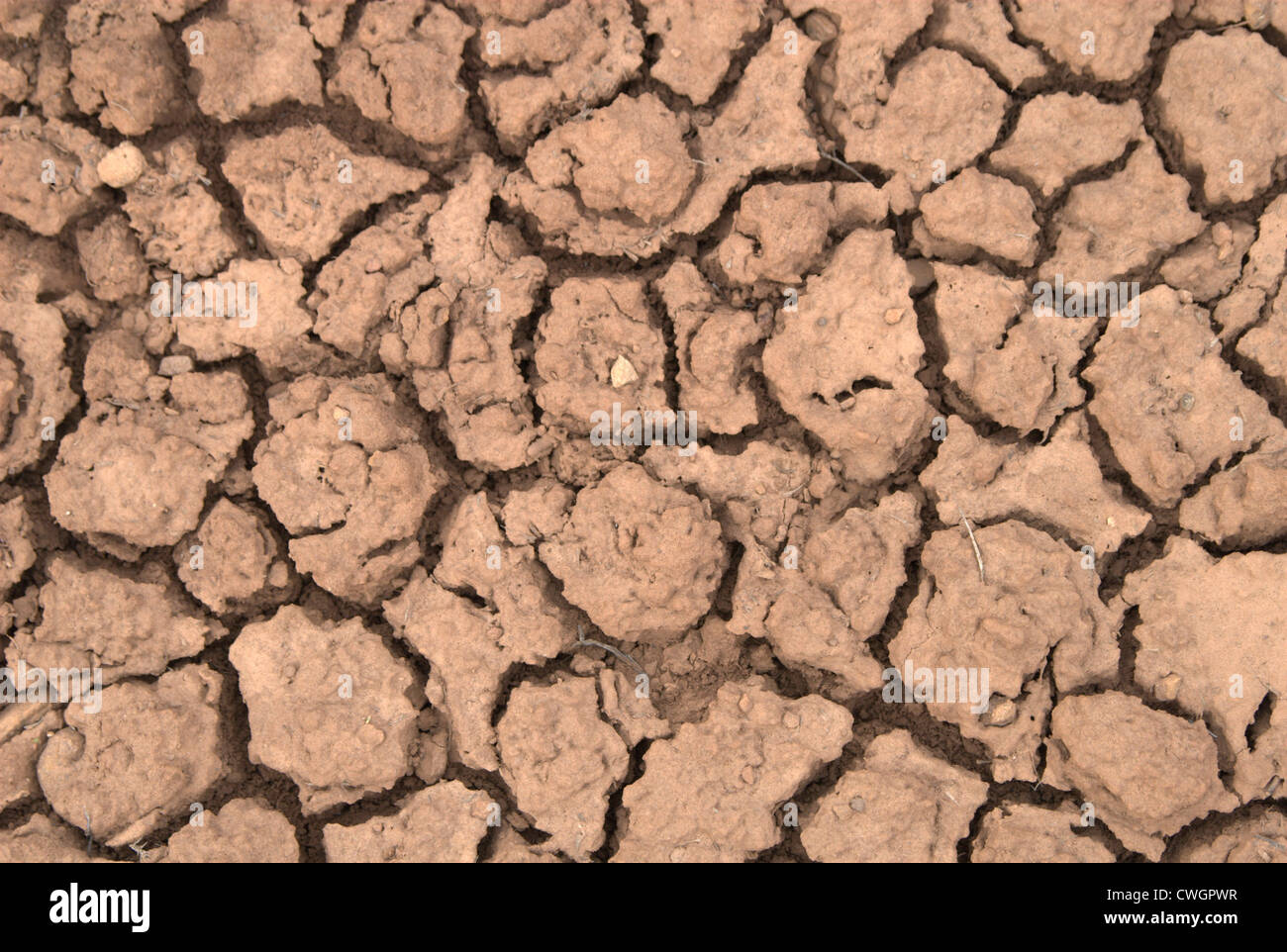dried up desert floor Stock Photo - Alamy