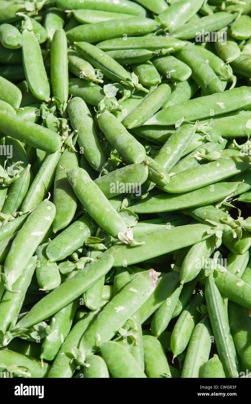 Pea round hi-res stock photography and images - Alamy