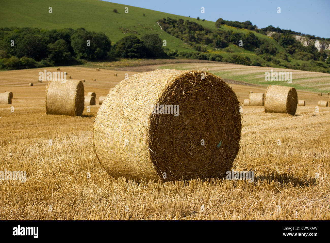 Harvest time, Kent, England UK Stock Photo - Alamy