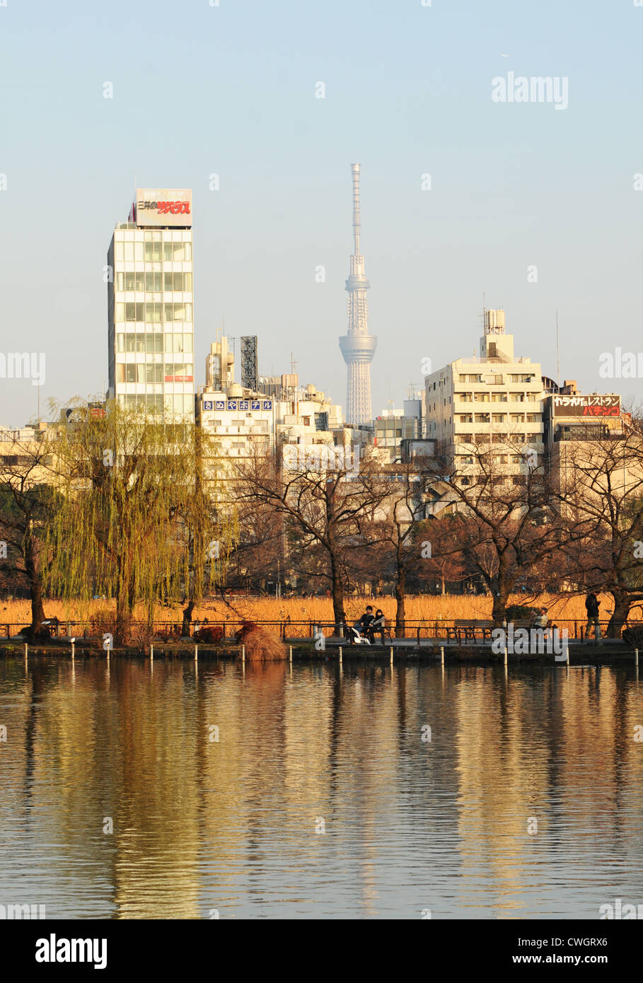 Shinobazu Pond in Ueno park and Tokyo skyline at sunset Stock Photo - Alamy