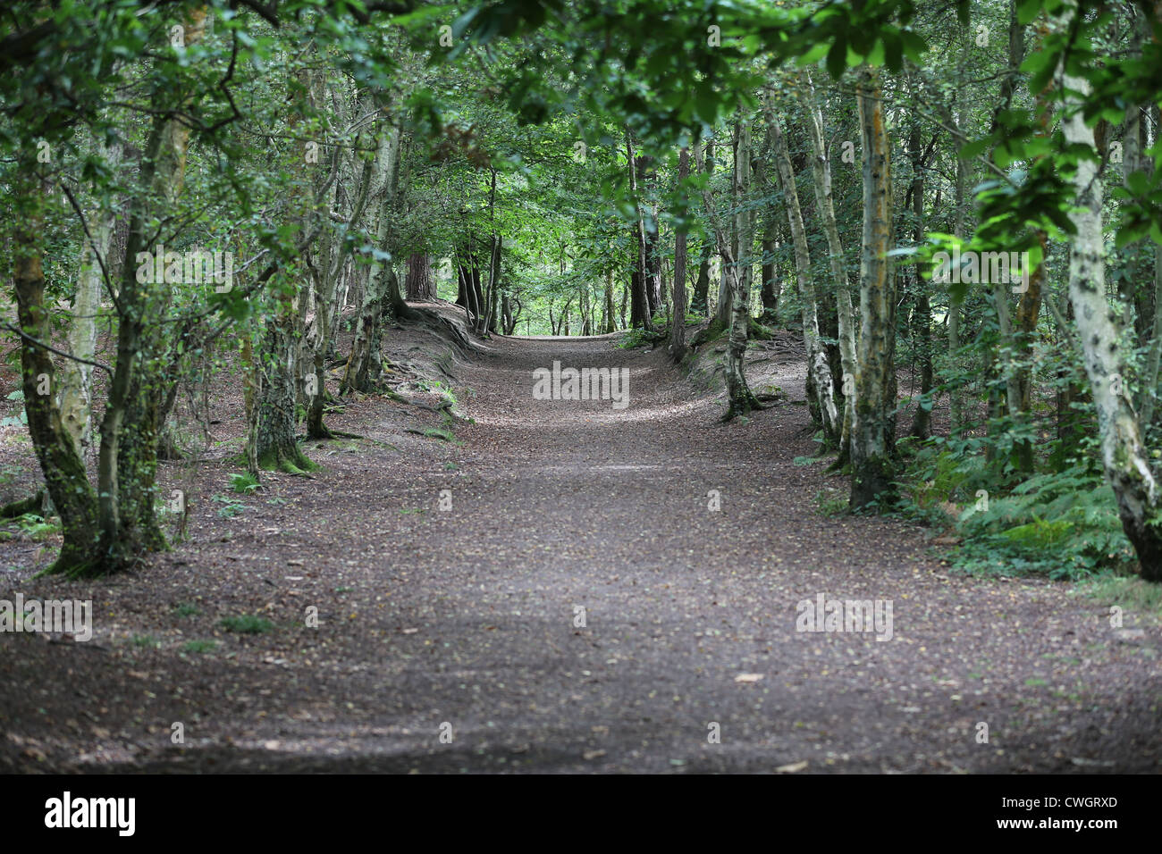 Buchan park crawley hi-res stock photography and images - Alamy