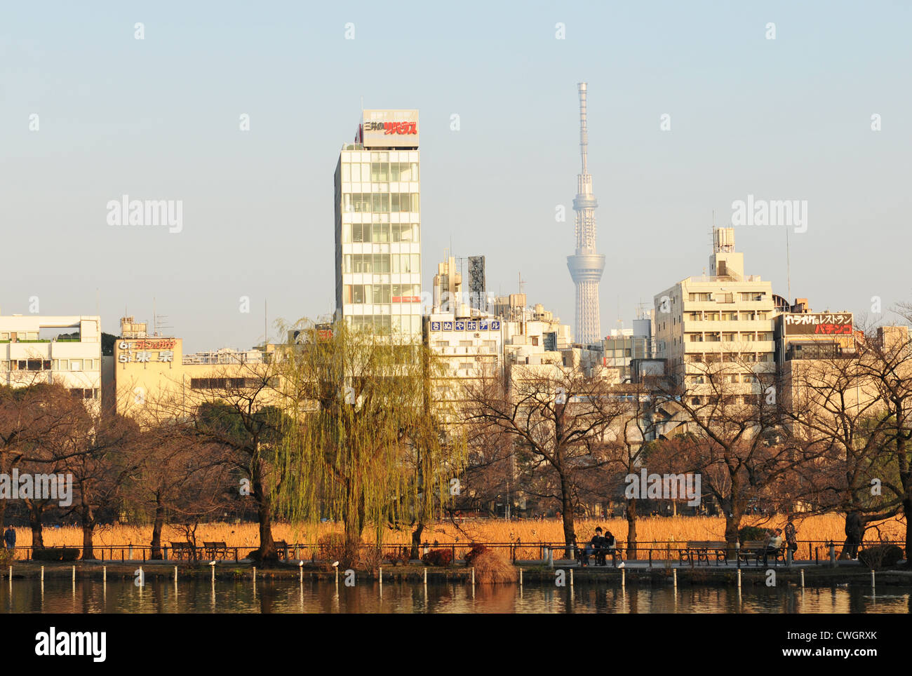 Shinobazu Pond in Ueno park and Tokyo skyline at sunset Stock Photo - Alamy