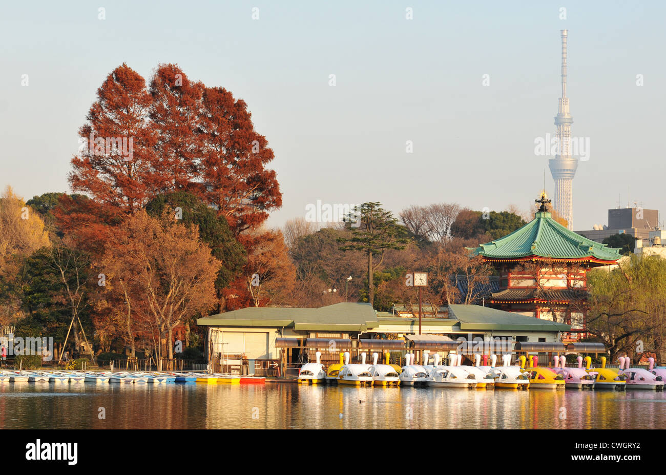 Shinobazu pond winter hi-res stock photography and images - Alamy
