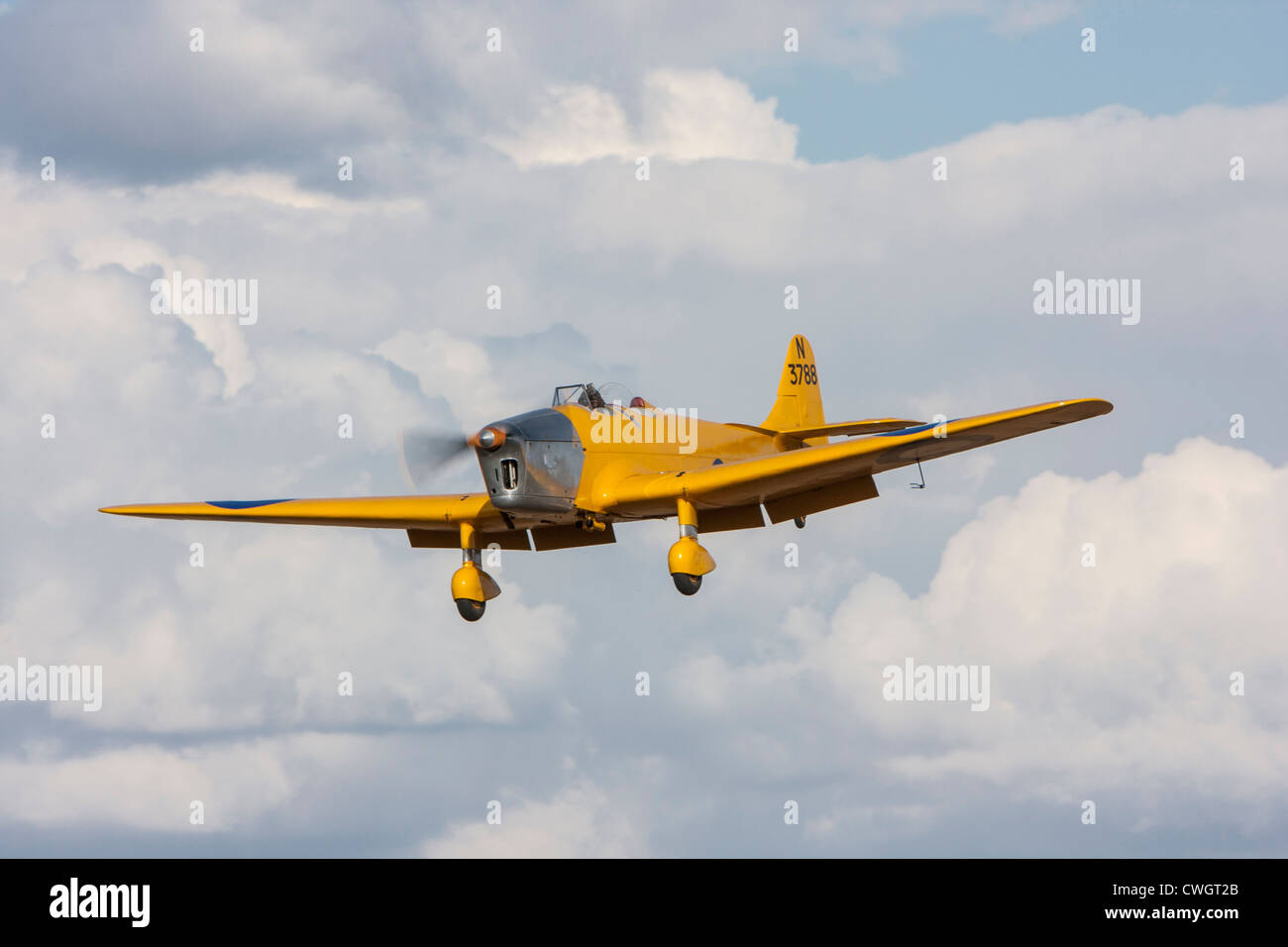 Miles hawk trainer hi-res stock photography and images - Alamy