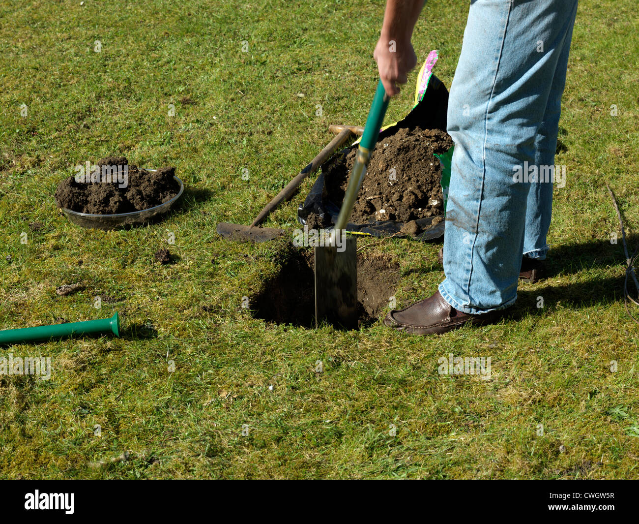 Digging A Hole Ready To Plant A Tree In Garden England Stock Photo - Alamy