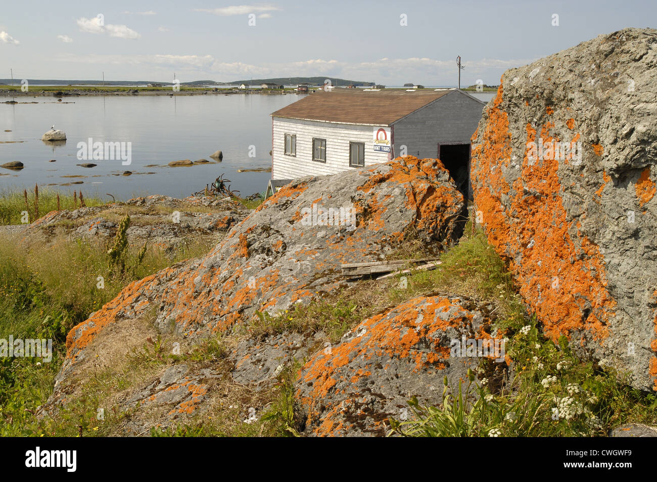 A harbour on the Northern Peninsula , Newfoundland Stock Photo - Alamy