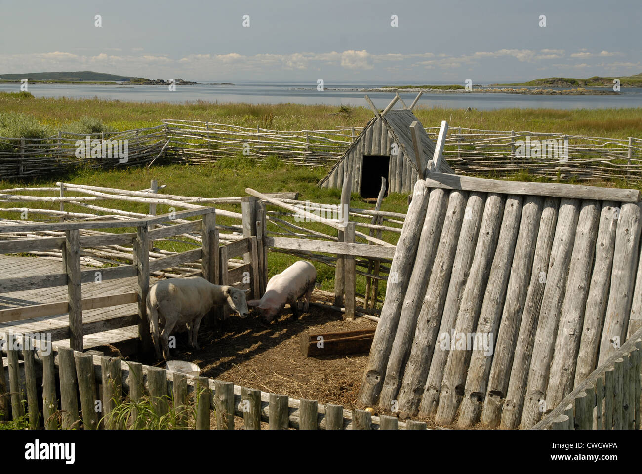 Animal pens at Norstead Viking Village, Newfoundland Stock Photo - Alamy
