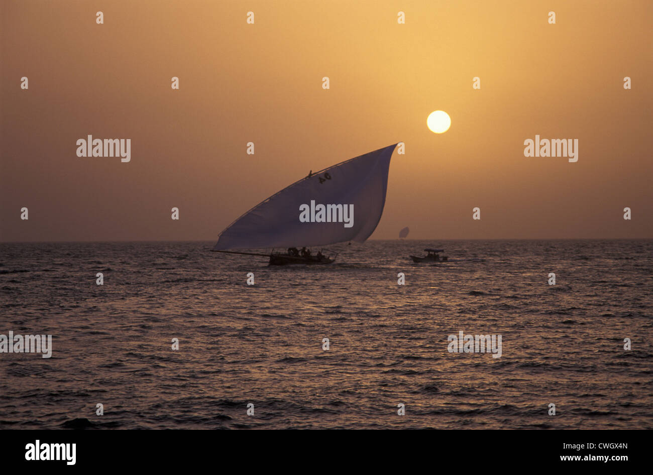 Dhow Racing High Resolution Stock Photography and Images - Alamy