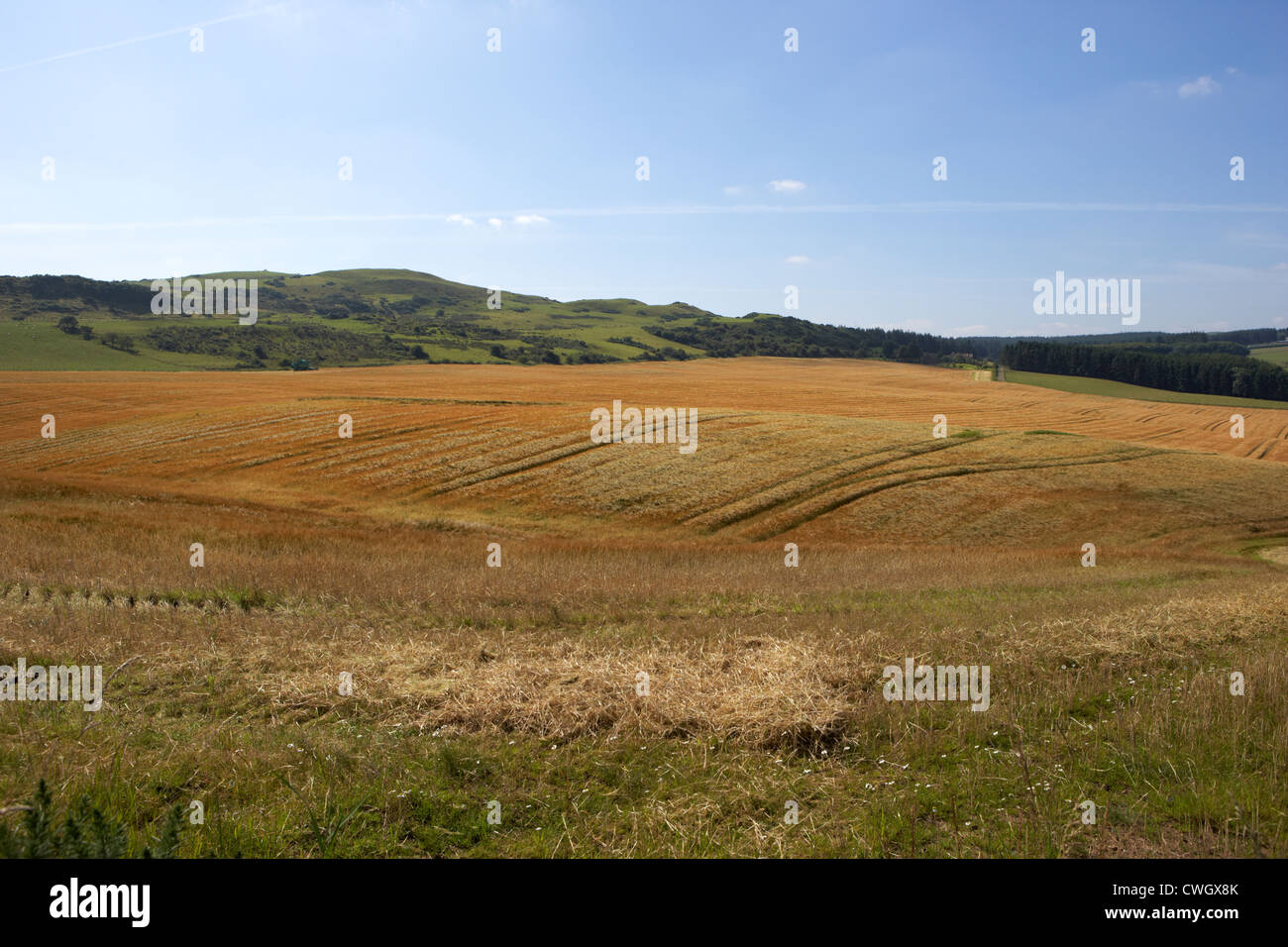 scottish lowlands farmland lothian Scotland, uk, united kingdom Stock ...