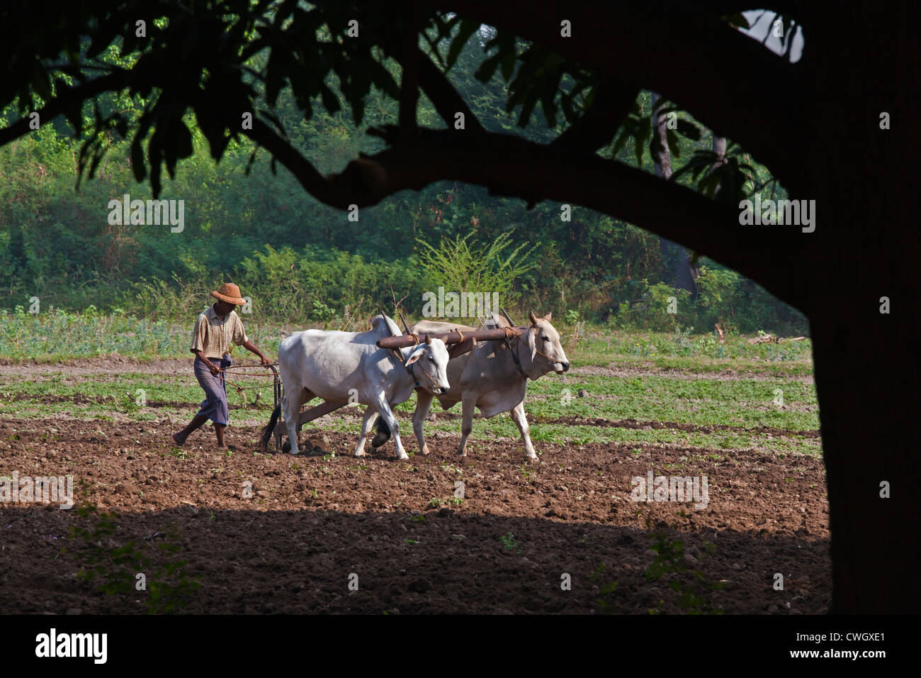 Historic farm plow agriculture hi-res stock photography and images - Alamy