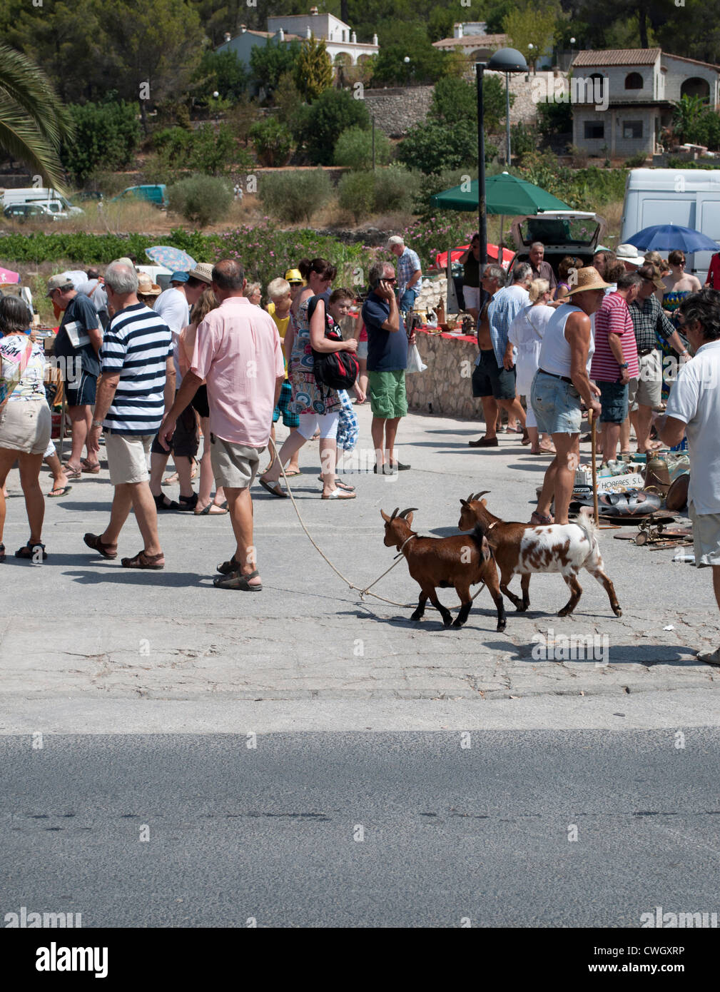 Goat walk hi-res stock photography and images - Alamy
