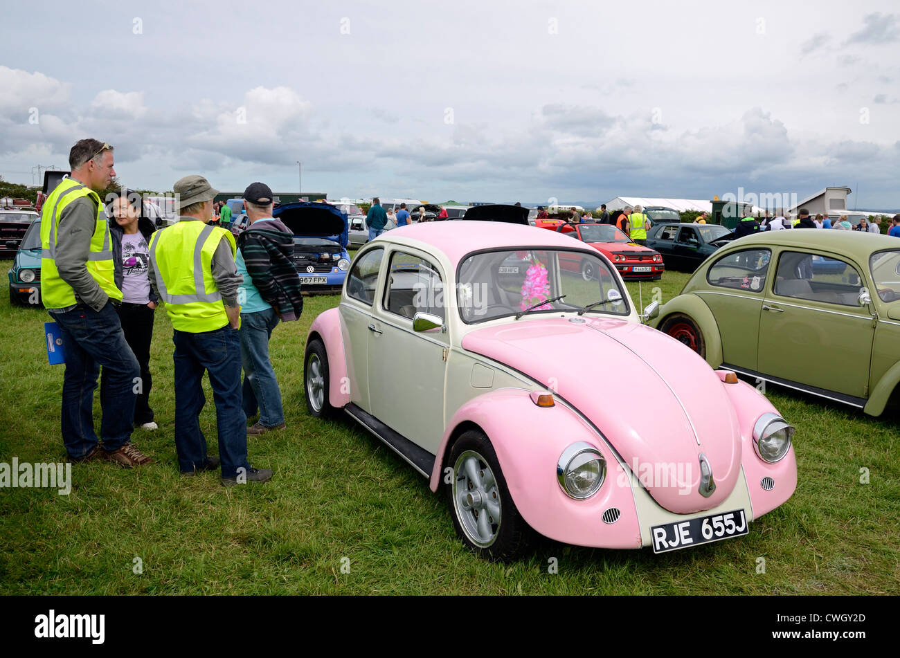 A Vw Beetle at a Volkswagen rally in Cornwall, UK Stock Photo - Alamy