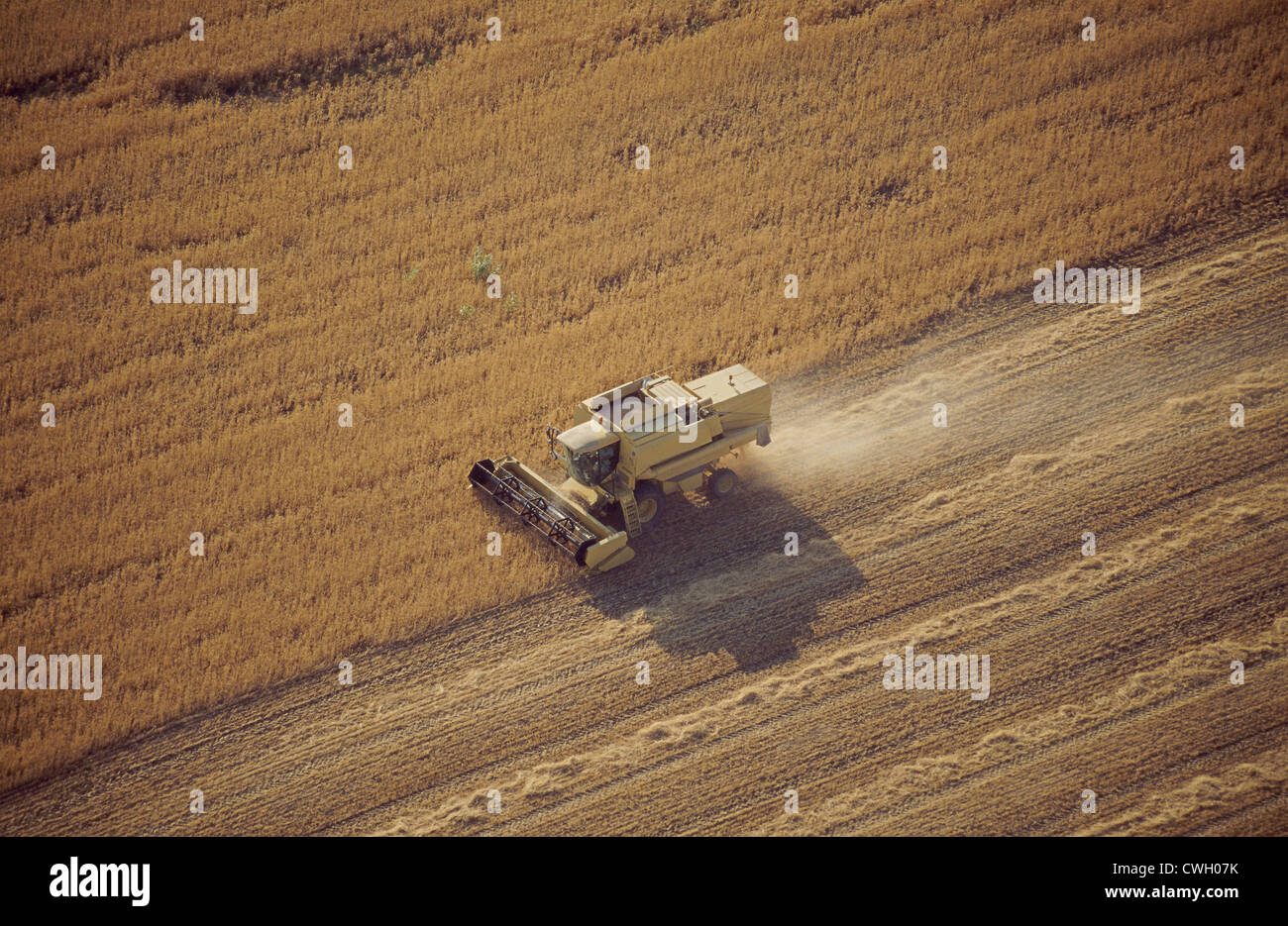 Harvesting crops hi-res stock photography and images - Alamy