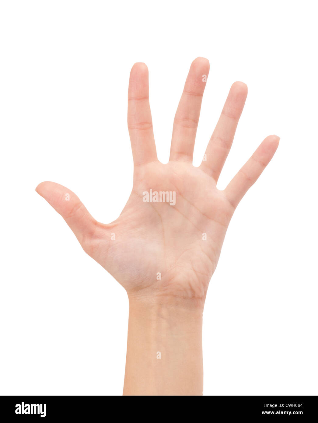 Open woman hand or number five isolated on white Stock Photo - Alamy