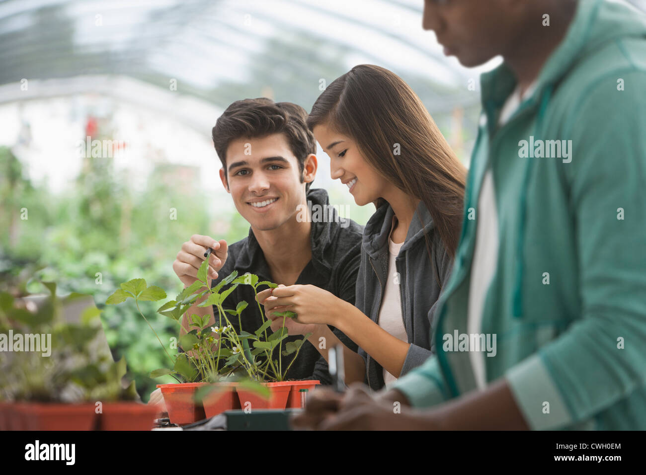 Students plant growth hi-res stock photography and images - Alamy