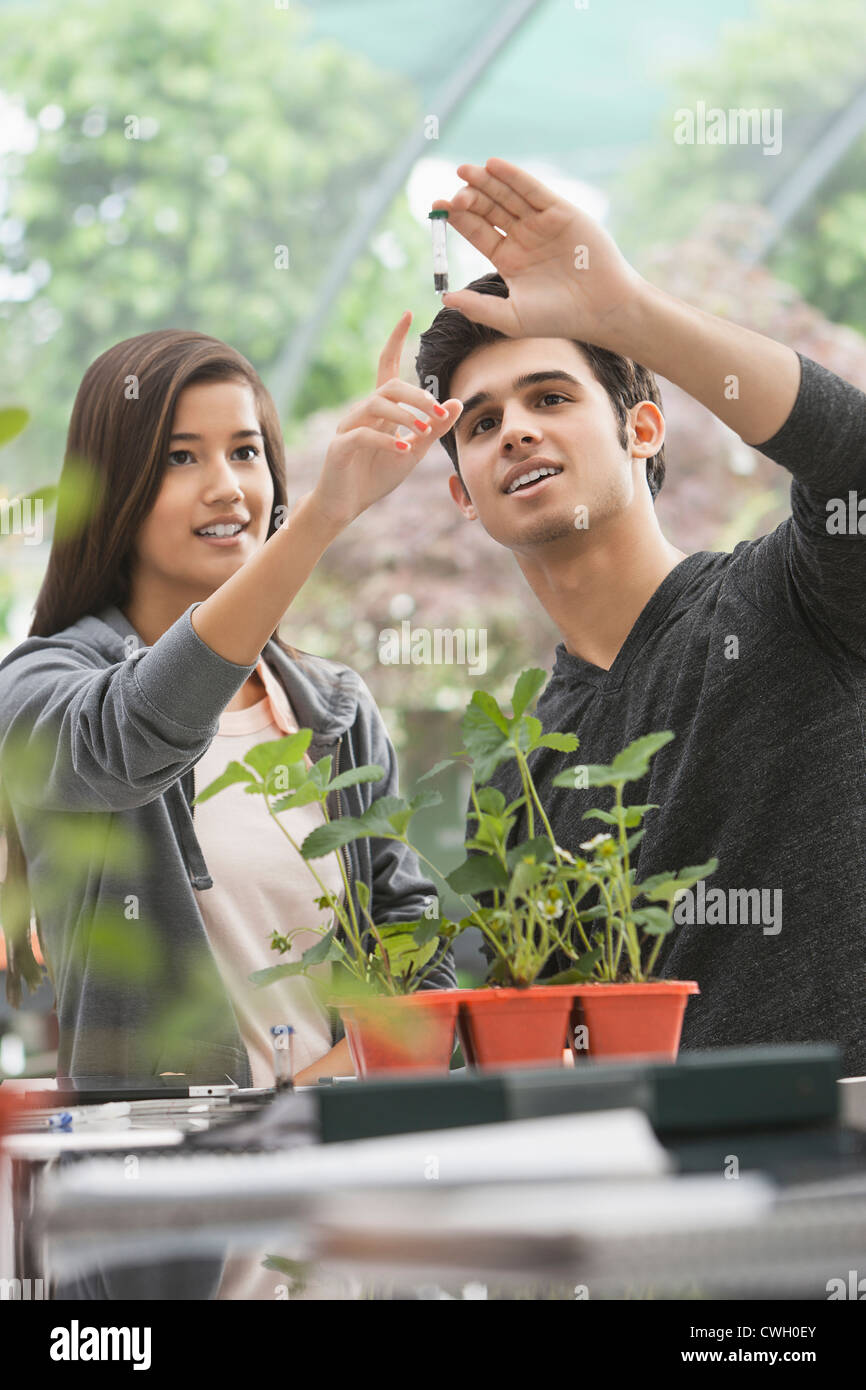 Students working in greenhouse Stock Photo - Alamy