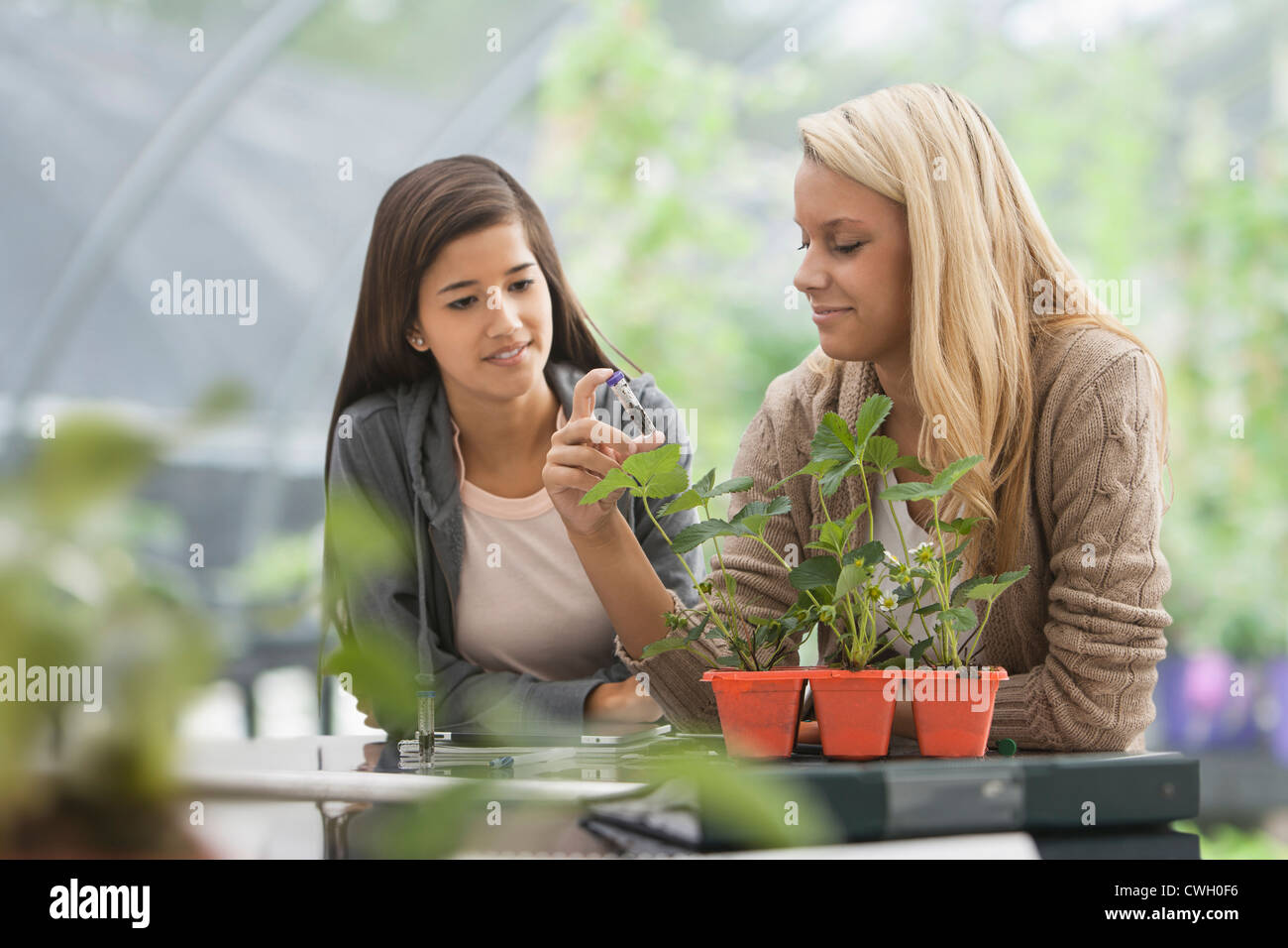 Students plant growth hi-res stock photography and images - Alamy