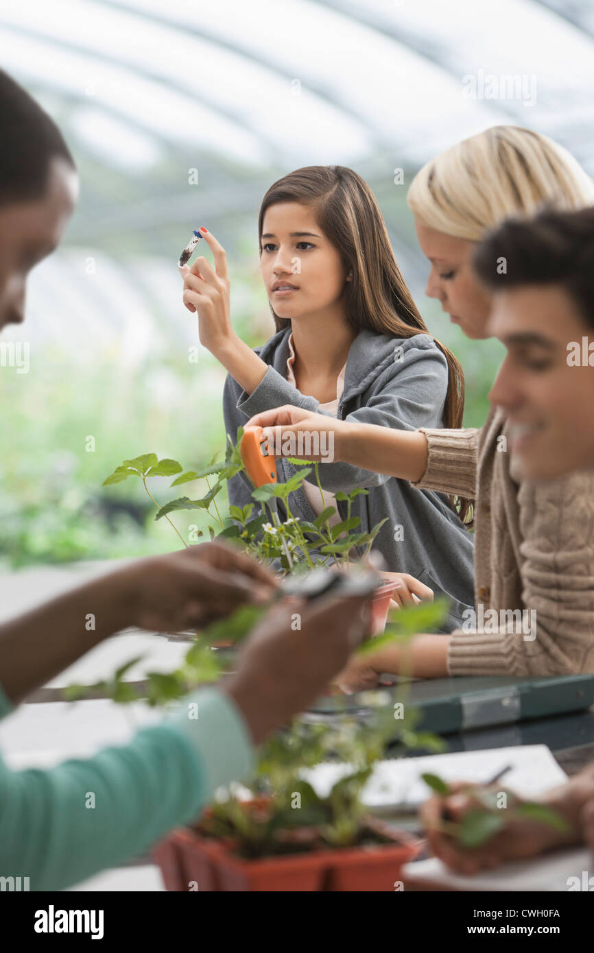 Students working in greenhouse Stock Photo - Alamy