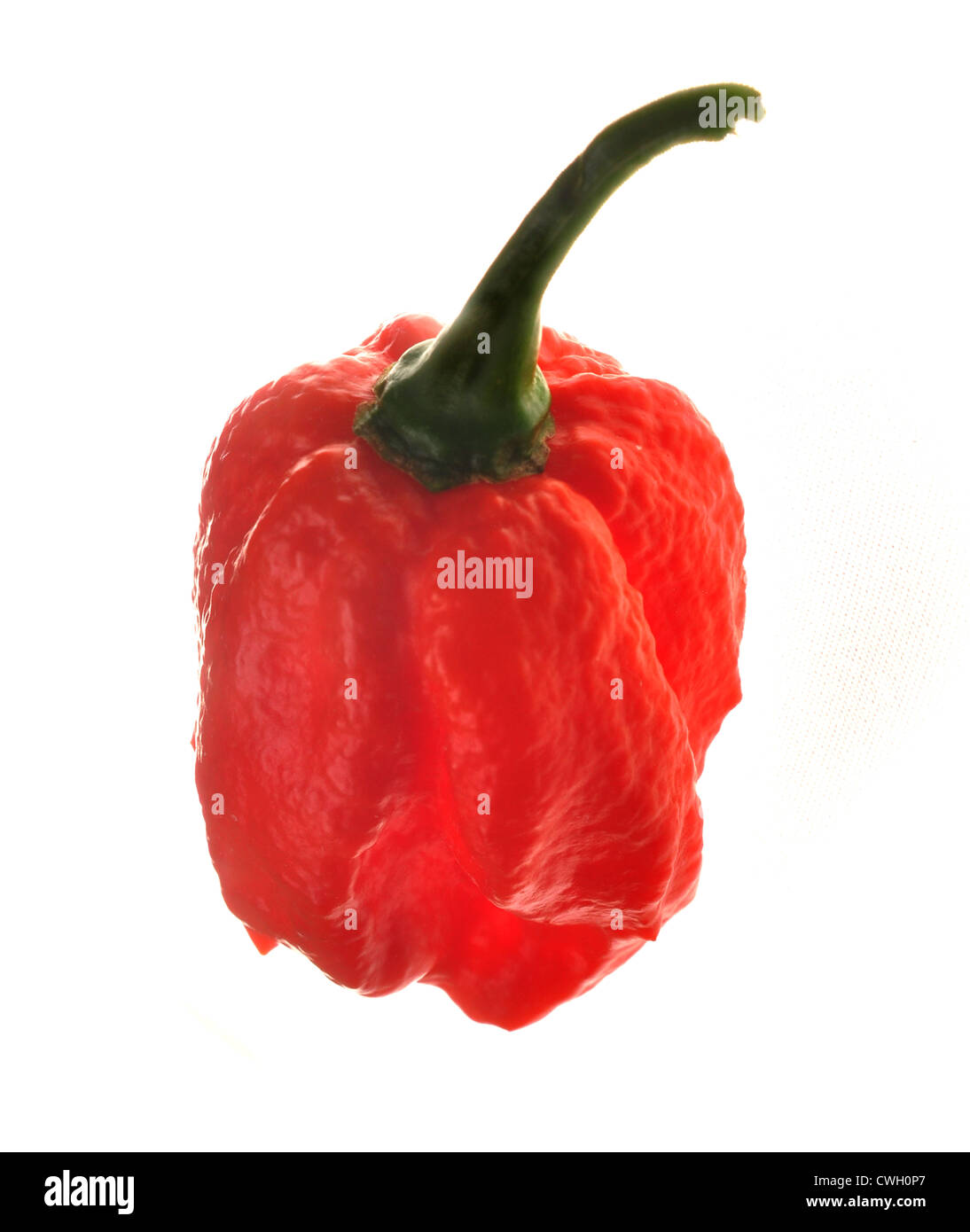 Ghost pepper hi-res stock photography and images - Alamy