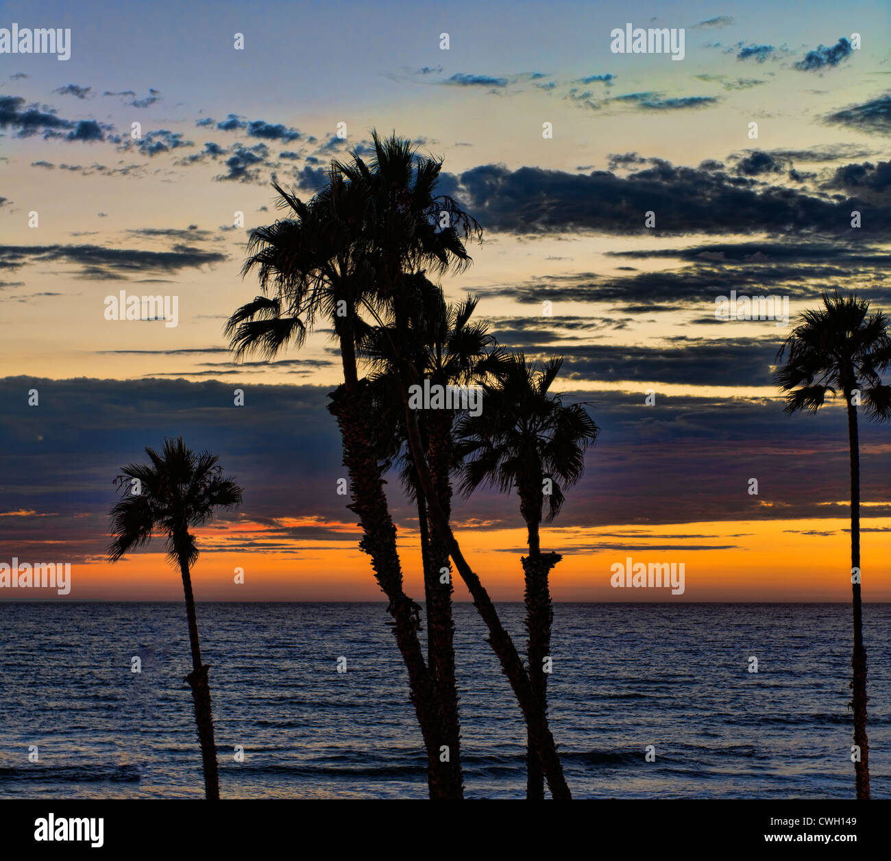 Palm trees sunset tropical hi-res stock photography and images - Alamy
