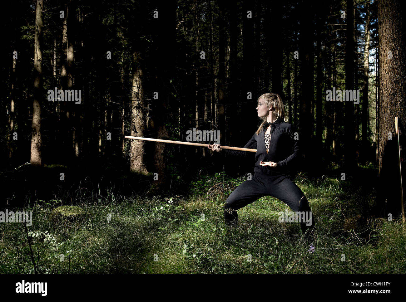 Fighting Posture High Resolution Stock Photography and Images - Alamy
