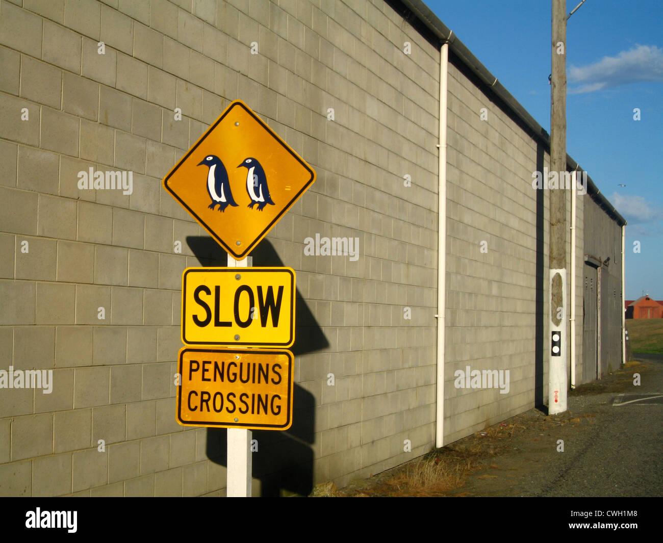 Penguin Warning Sign New Zealand High Resolution Stock Photography and ...