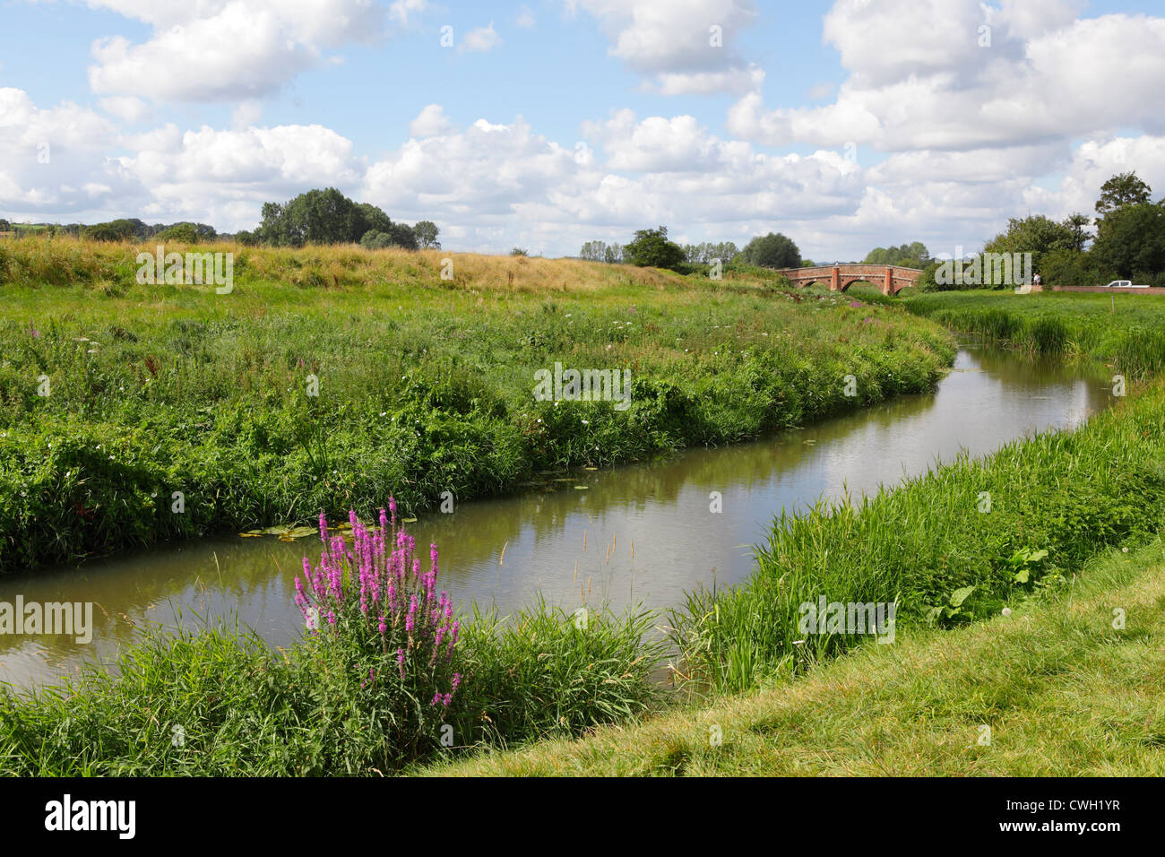 River Rother at Bodiam East Sussex England UK GB Stock Photo - Alamy