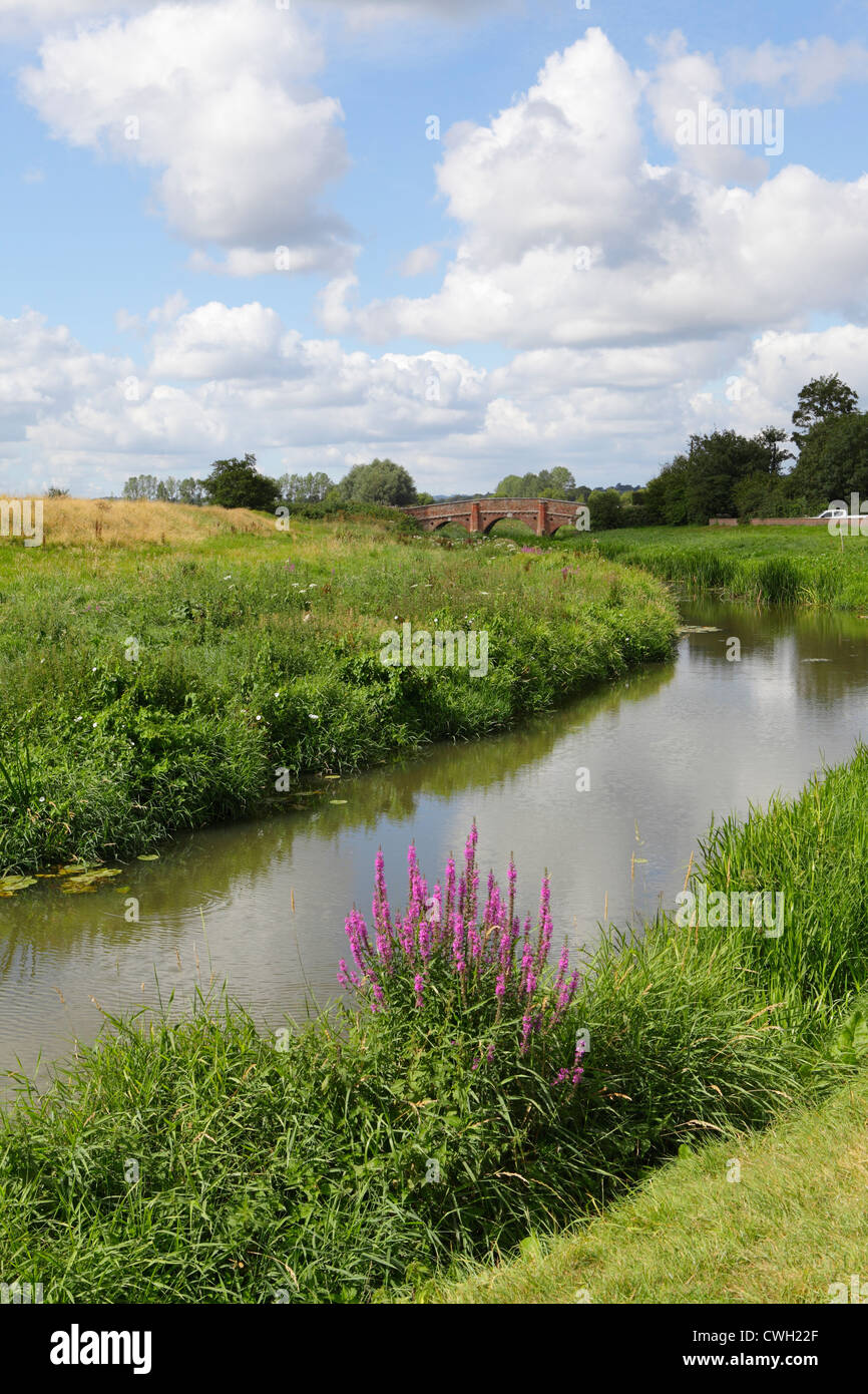 Rother valley hi-res stock photography and images - Alamy