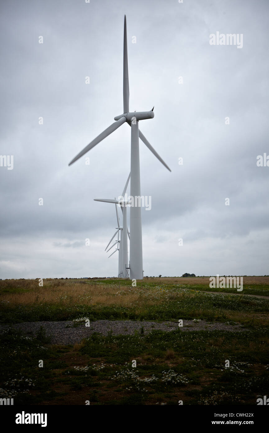 Westmill Solar Farm Watchfield near Swindon. Westmill is one of the UK ...