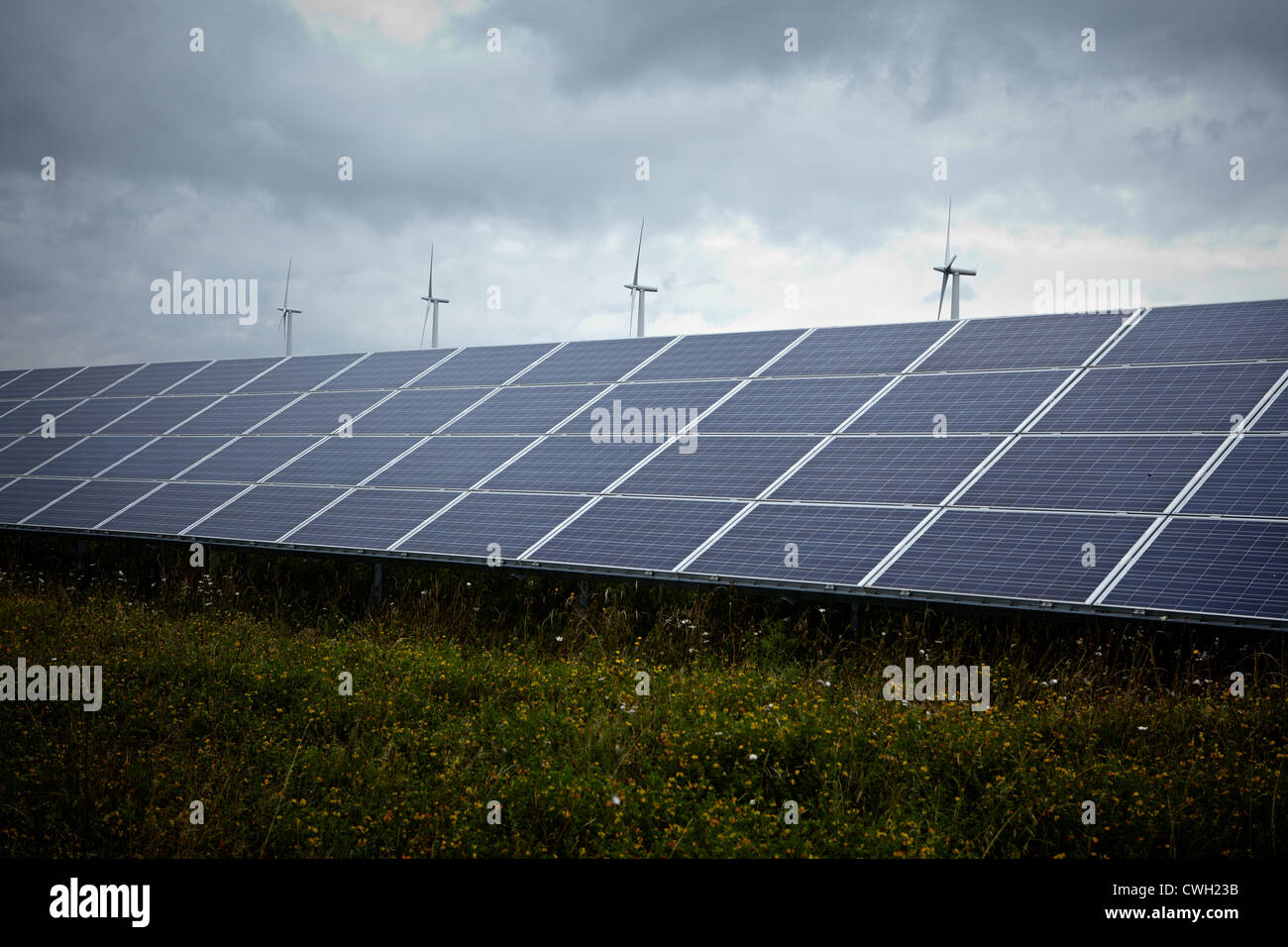 Westmill Solar Farm Watchfield near Swindon. Westmill is one of the UK ...