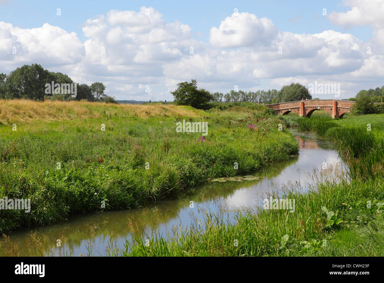 River Rother at Bodiam East Sussex England UK GB Stock Photo - Alamy