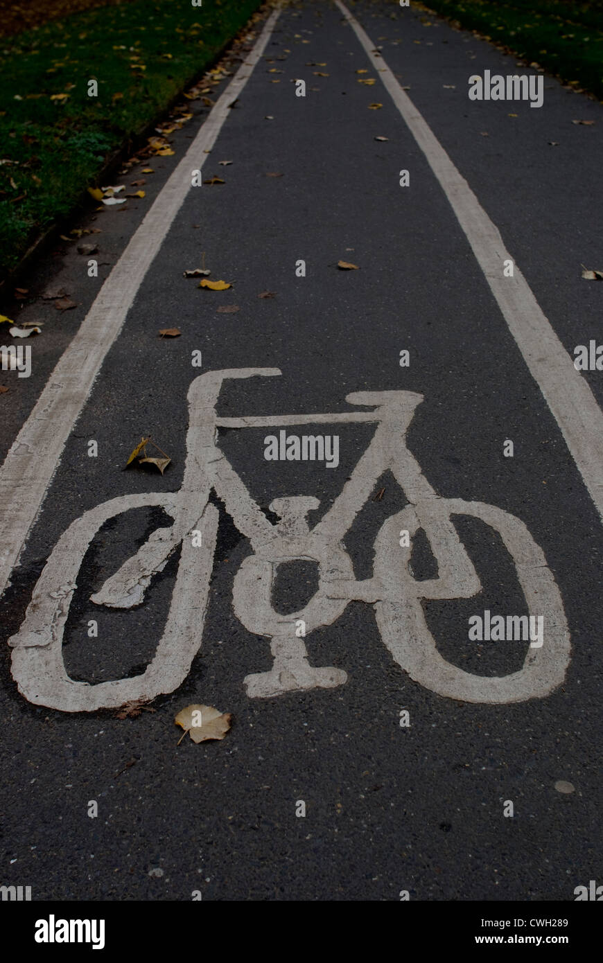 Designated Cycle Lane Stock Photo - Alamy