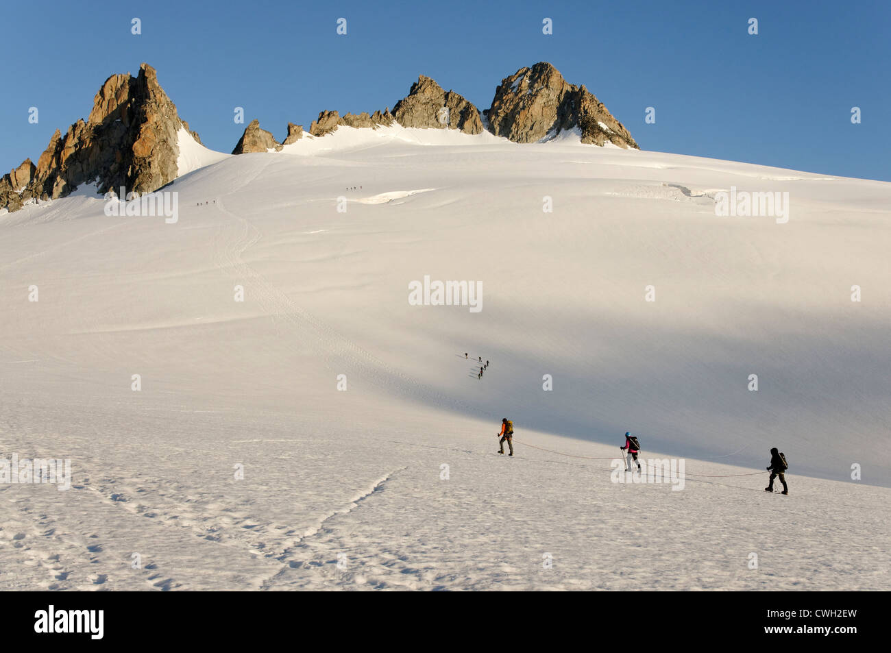 Alpinistes crossing a glacier dawn in the alps hi-res stock photography ...