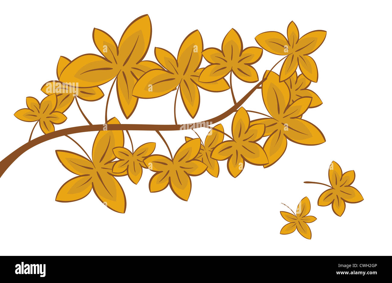 Illustration of one branch of autumn leafs Stock Photo - Alamy