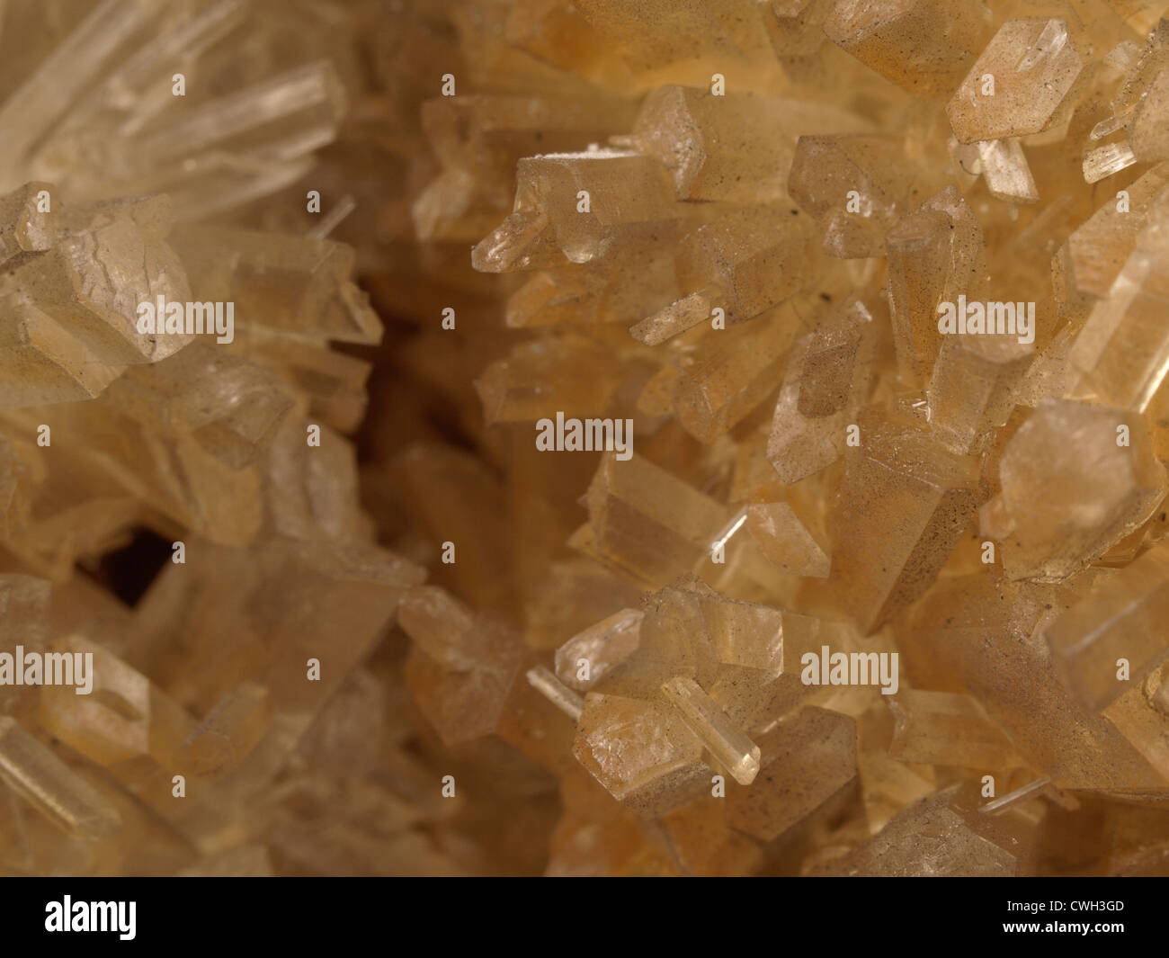The gypsum crystal hi-res stock photography and images - Alamy