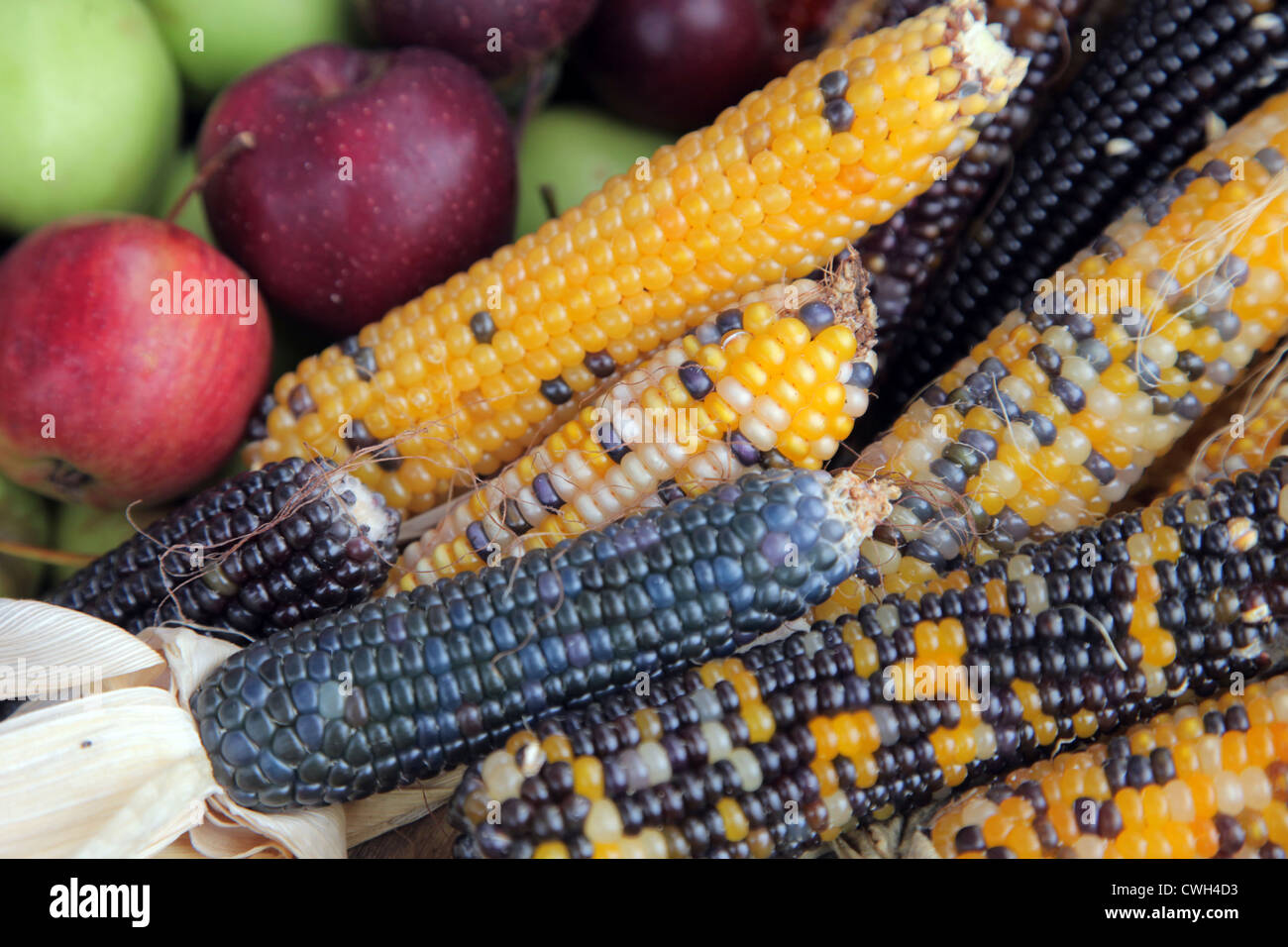 Bushel of corn hi-res stock photography and images - Alamy