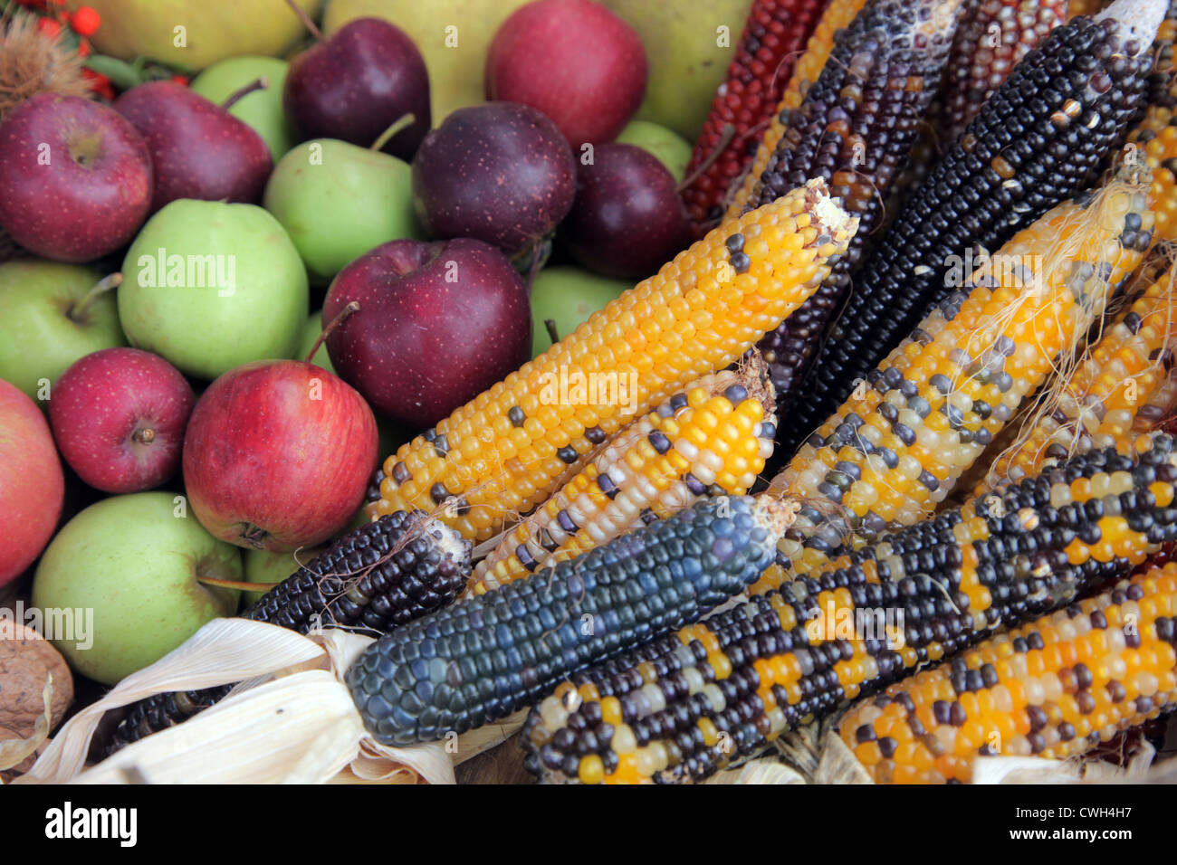 Bushel of corn hi-res stock photography and images - Alamy