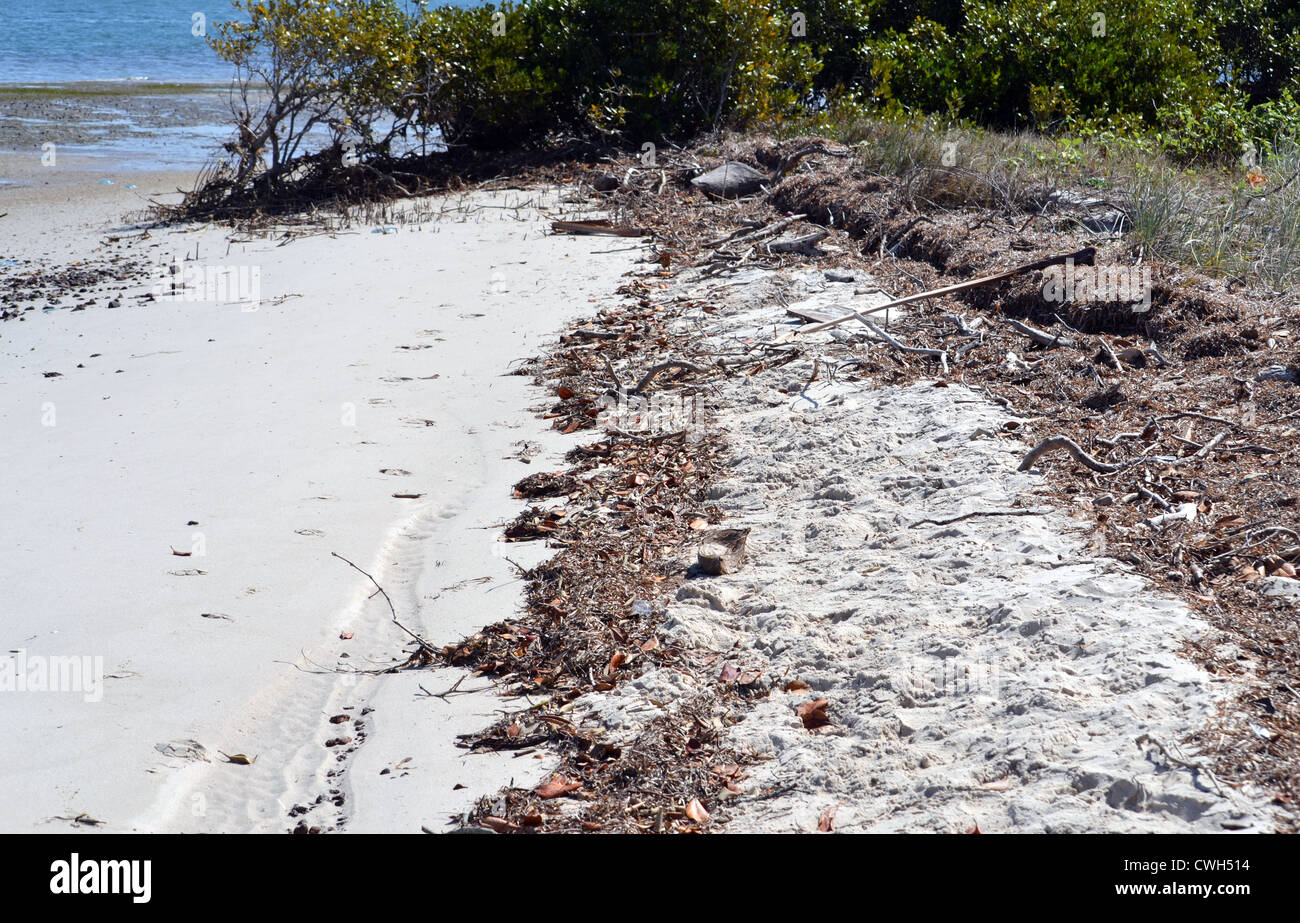 Mud shoreline hi-res stock photography and images - Alamy