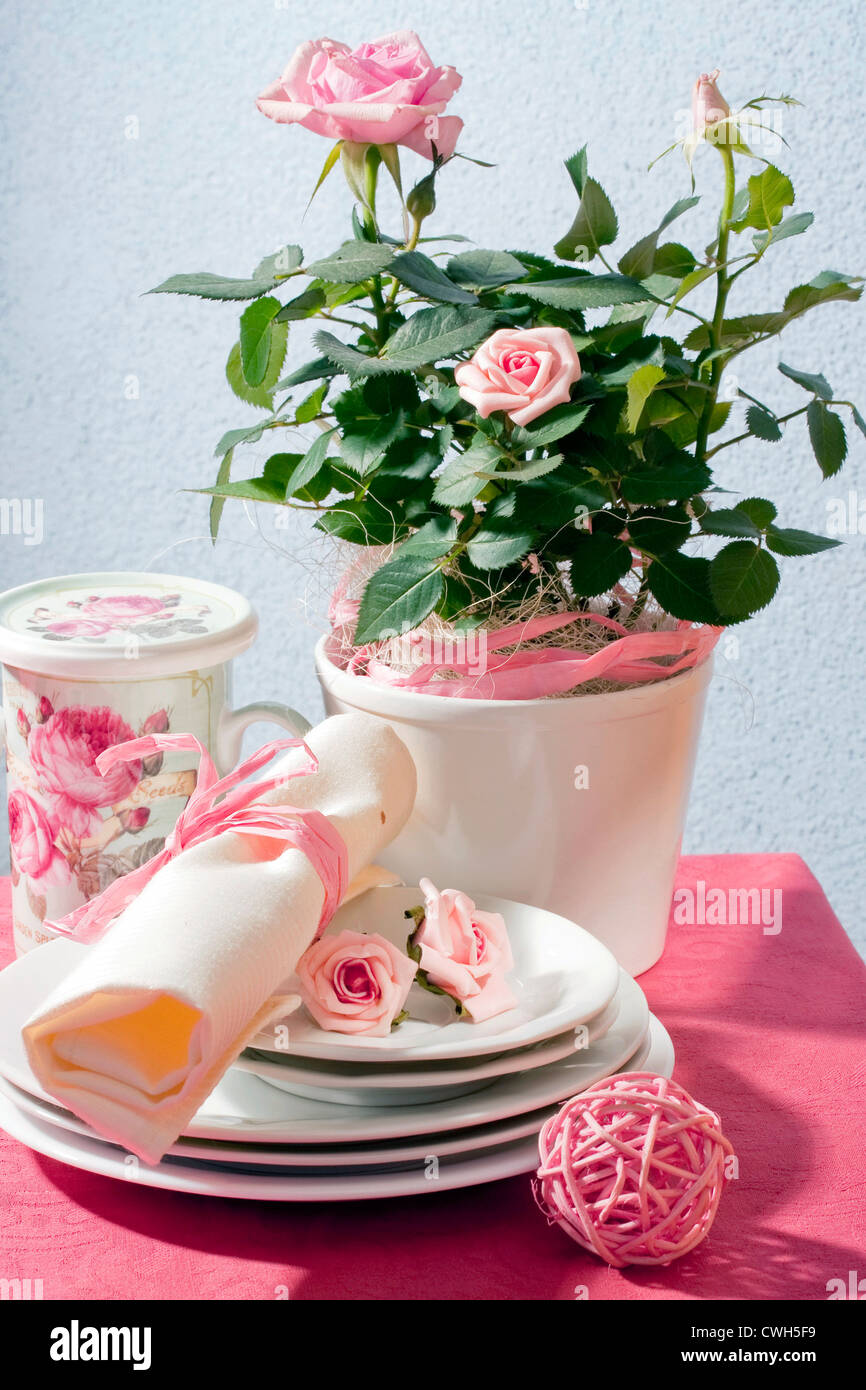 Mini Rose - Table setting Stock Photo - Alamy